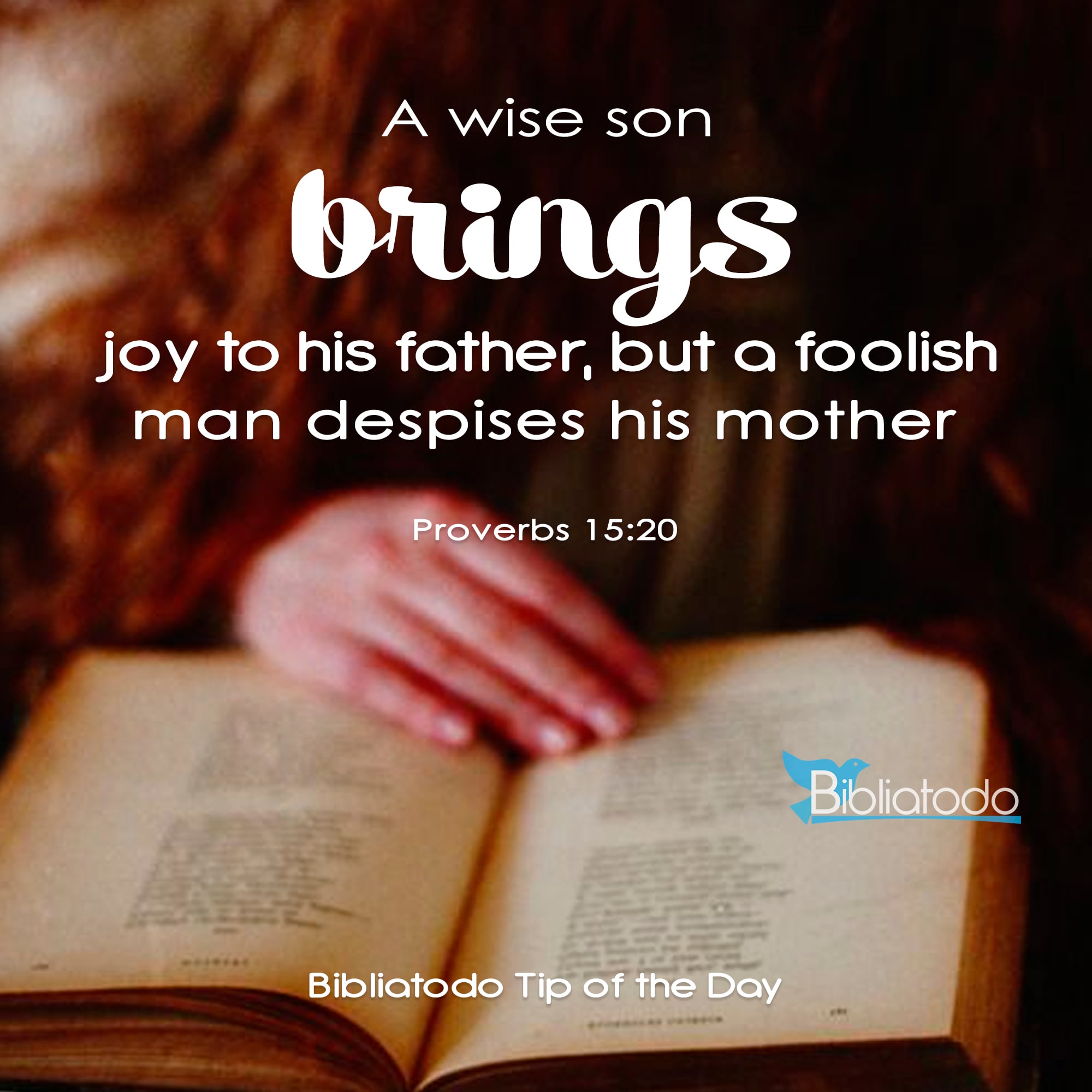 A wise son brings joy to his father but a foolish man despises his ...