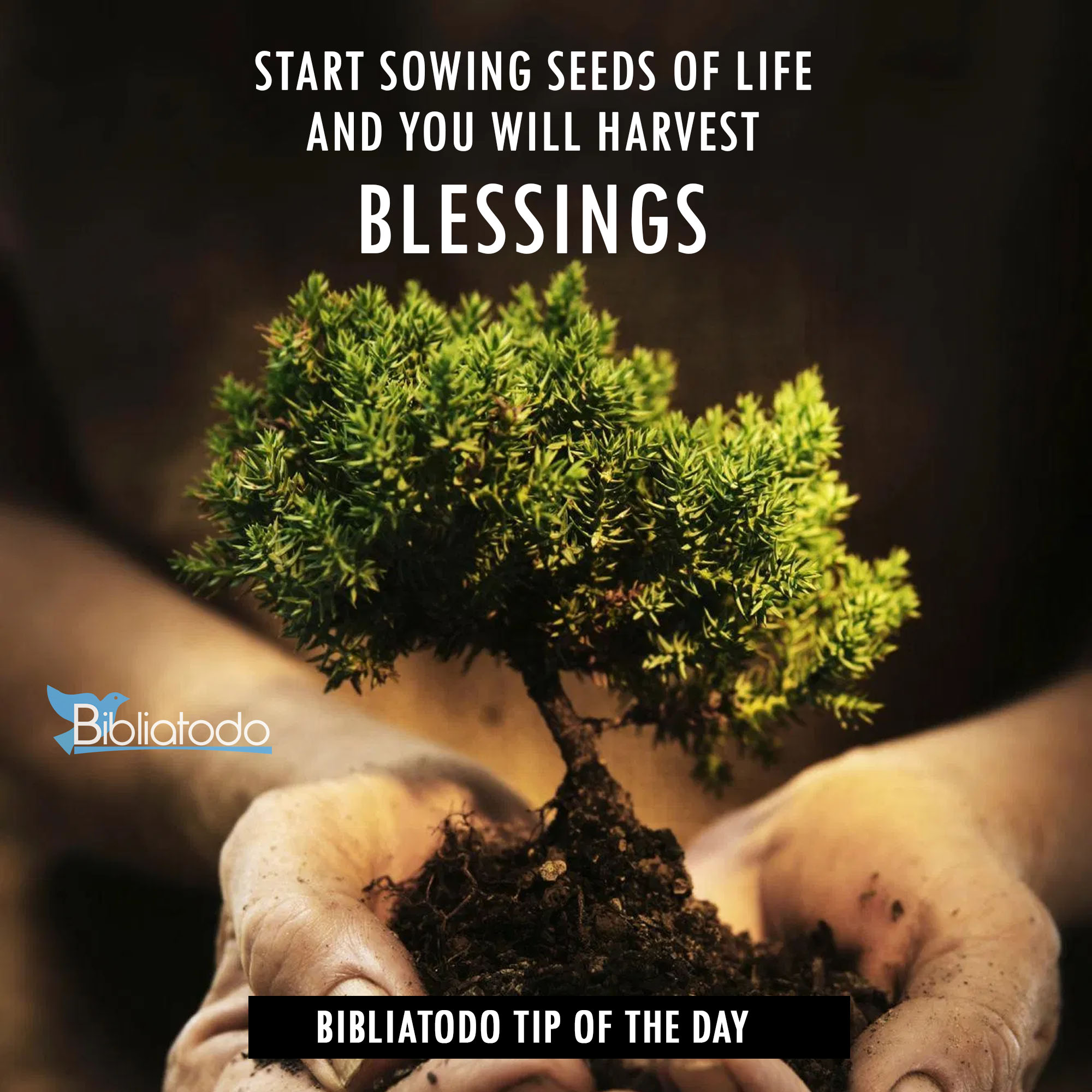 Start sowing seeds of life - CHRISTIAN PICTURES