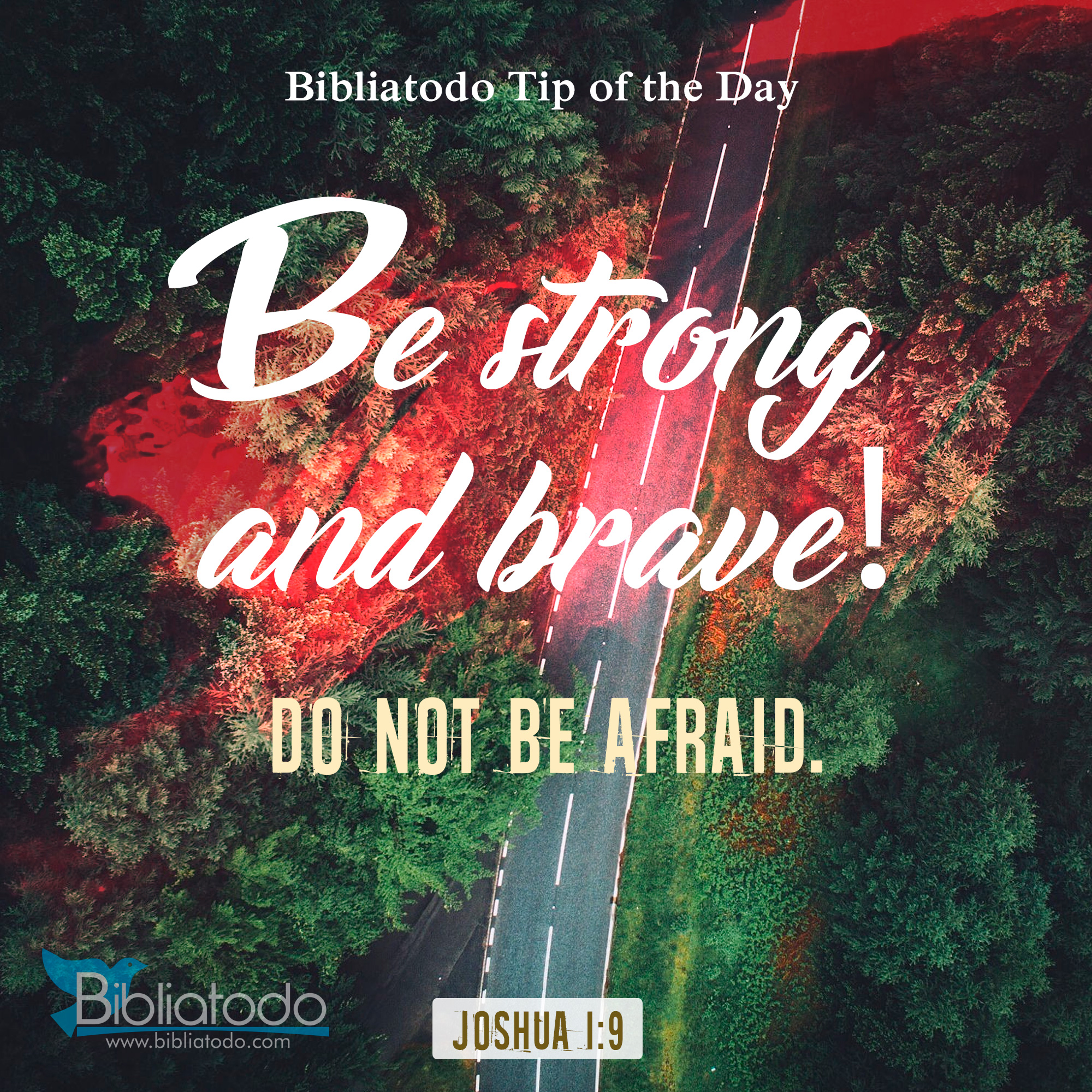 Be strong and brave! do not be afraid. - CHRISTIAN PICTURES