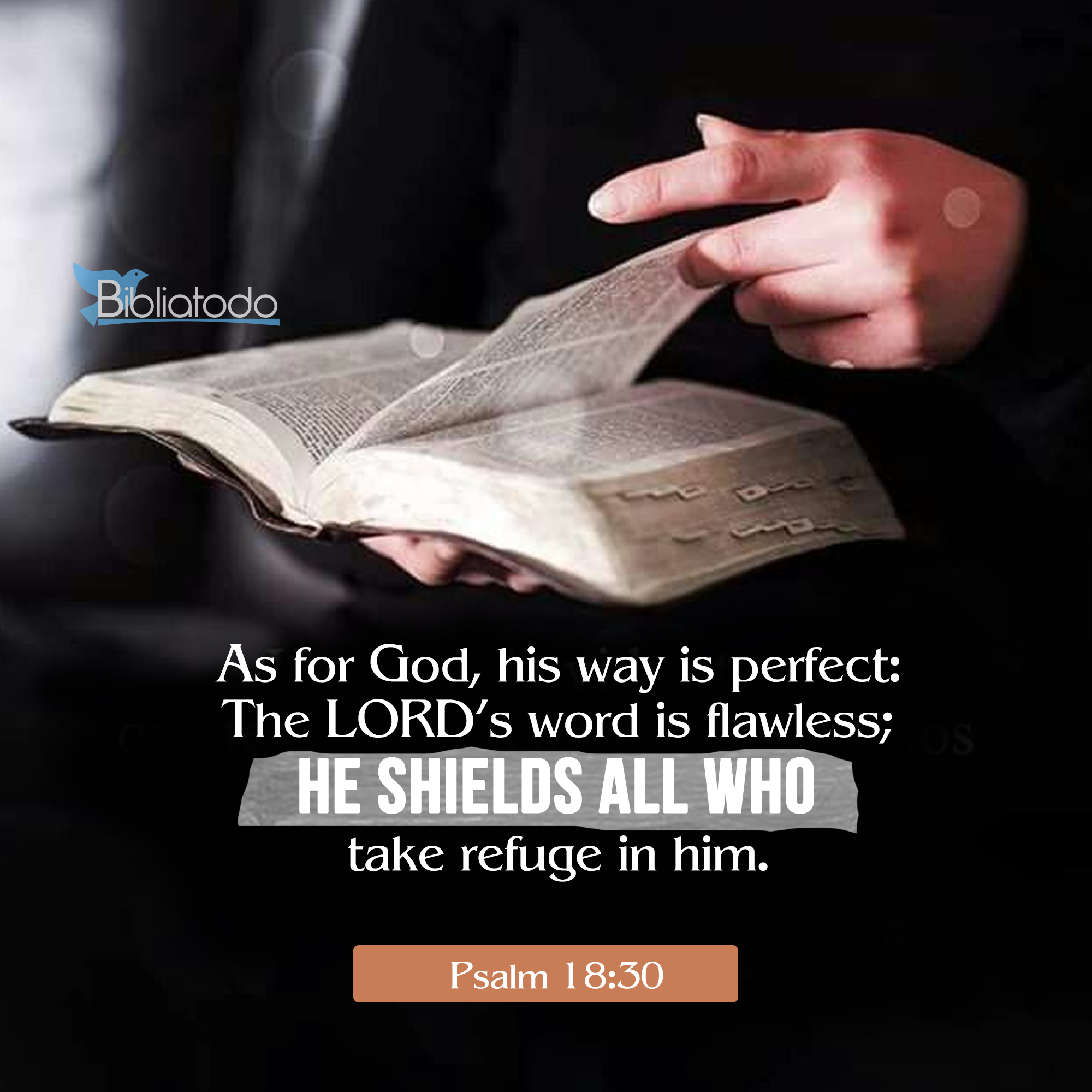 As for God his way is perfect The LORD's word is flawless - CHRISTIAN ...