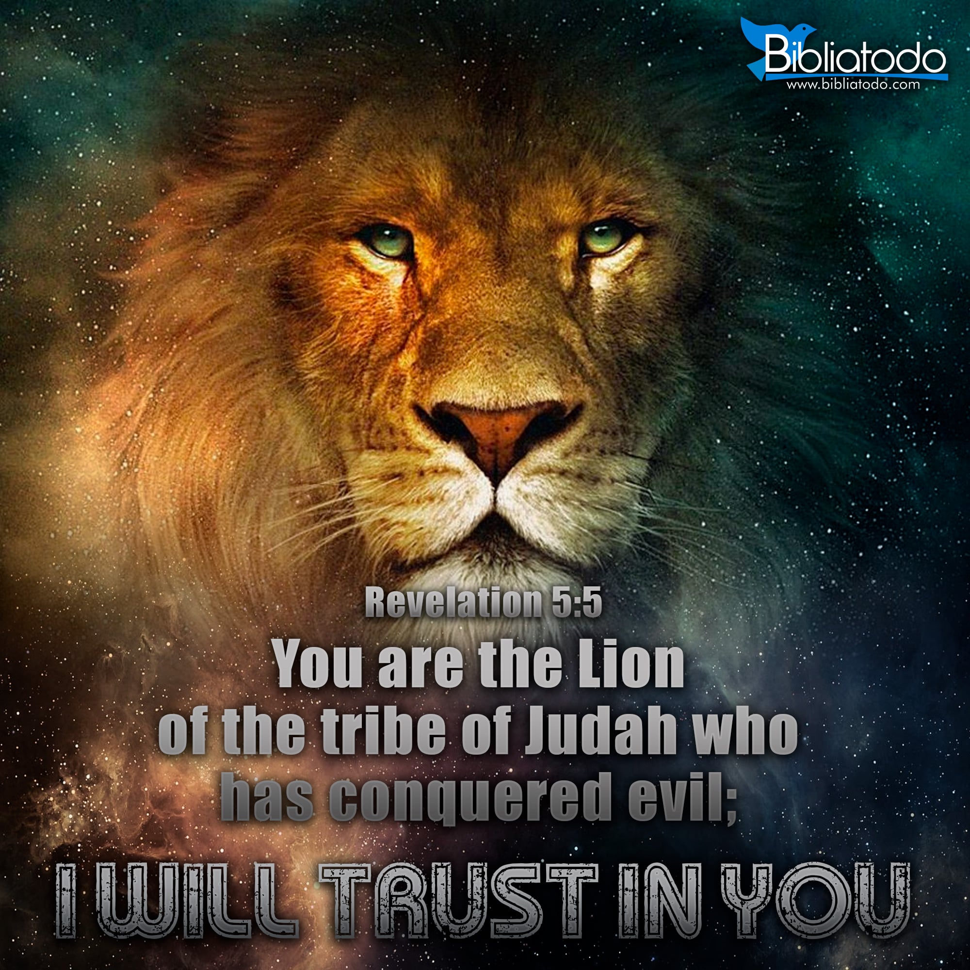 You are the Lion of the tribe of Judah - CHRISTIAN PICTURES