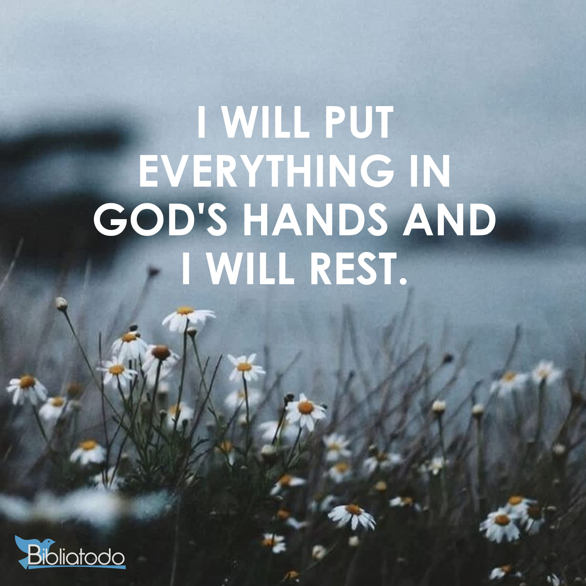 I will put everything in God's hands and I will rest - CHRISTIAN PICTURES