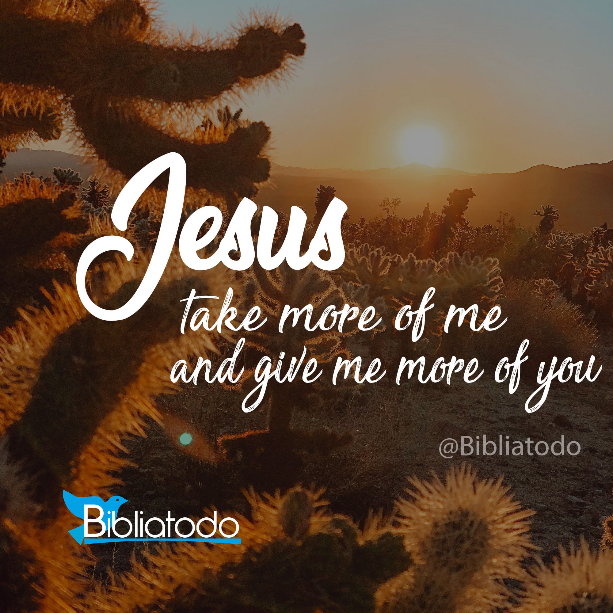 Jesus take more of me and give me more of you - CHRISTIAN PICTURES