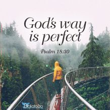 As for God his way is perfect The LORD's word is flawless - CHRISTIAN ...