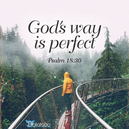 As for God his way is perfect The LORD's word is flawless - CHRISTIAN ...