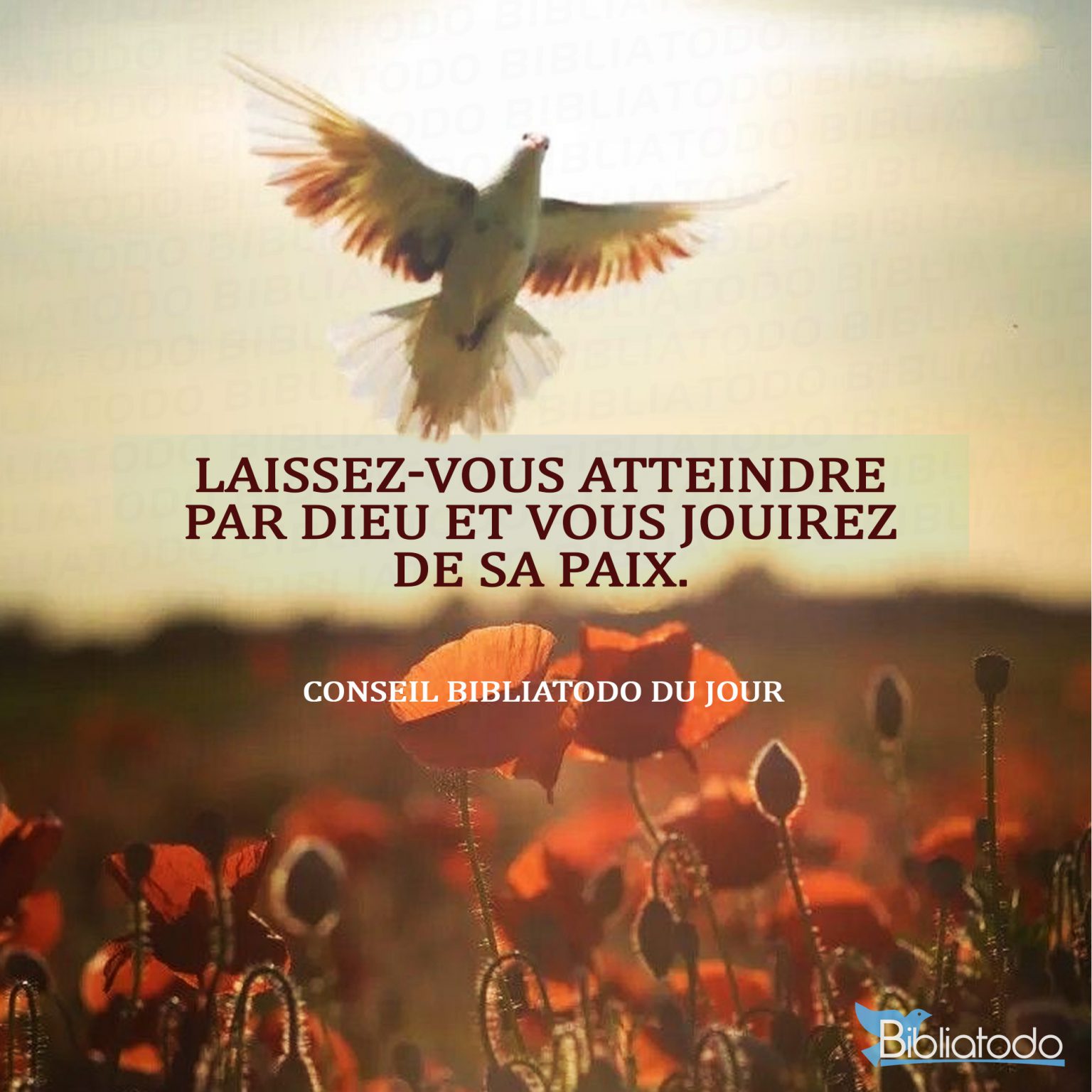 IMAGES CHRÉTIENNES - IMAGE BIBLIQUE - IMAGES CHRÉTIENNES - IMAGE BIBLIQUE