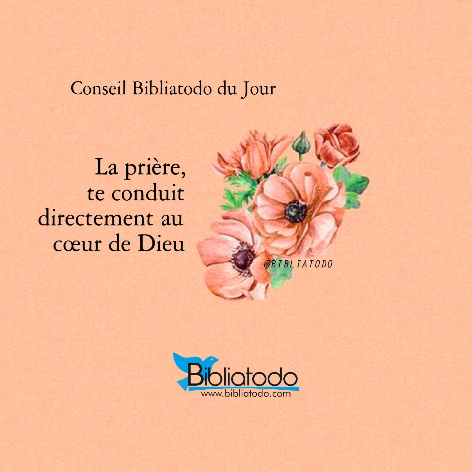 IMAGES CHRÉTIENNES - IMAGE BIBLIQUE - IMAGES CHRÉTIENNES - IMAGE BIBLIQUE