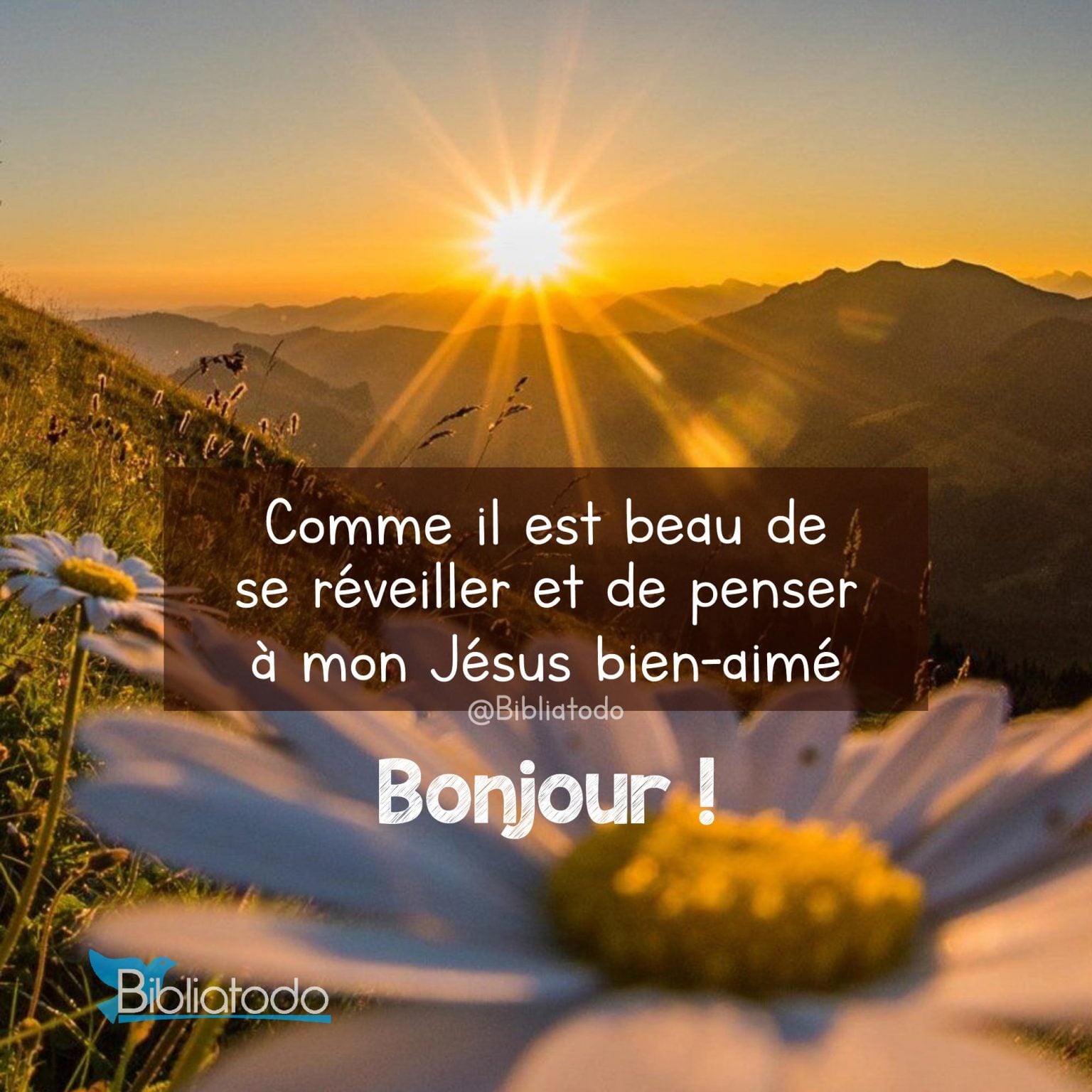 IMAGES CHRÉTIENNES - IMAGE BIBLIQUE - IMAGES CHRÉTIENNES - IMAGE BIBLIQUE