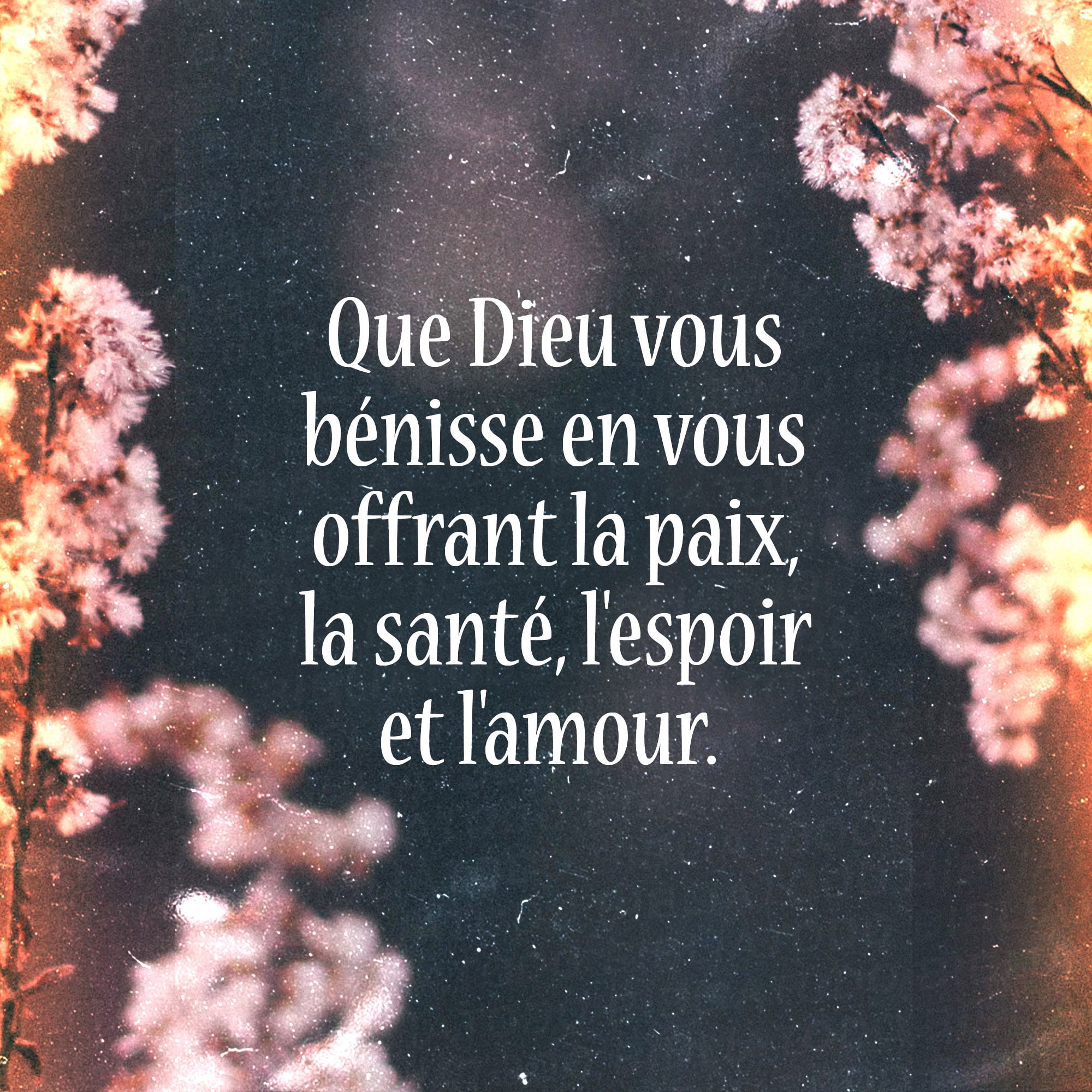 Que Dieu vous bénisse en vous offrant la paix - IMAGES CHRÉTIENNES ...