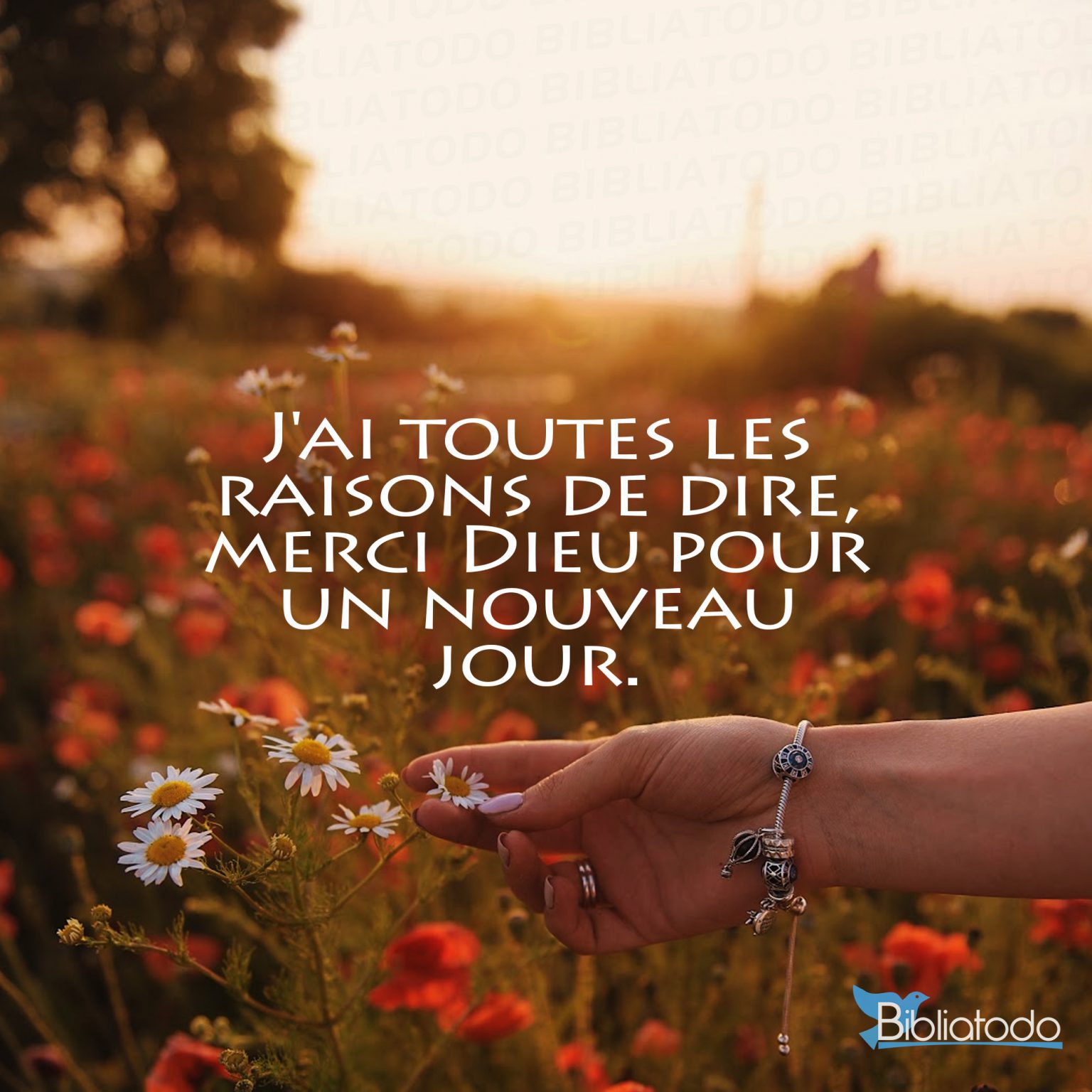 IMAGES CHRÉTIENNES - IMAGE BIBLIQUE - IMAGES CHRÉTIENNES - IMAGE BIBLIQUE