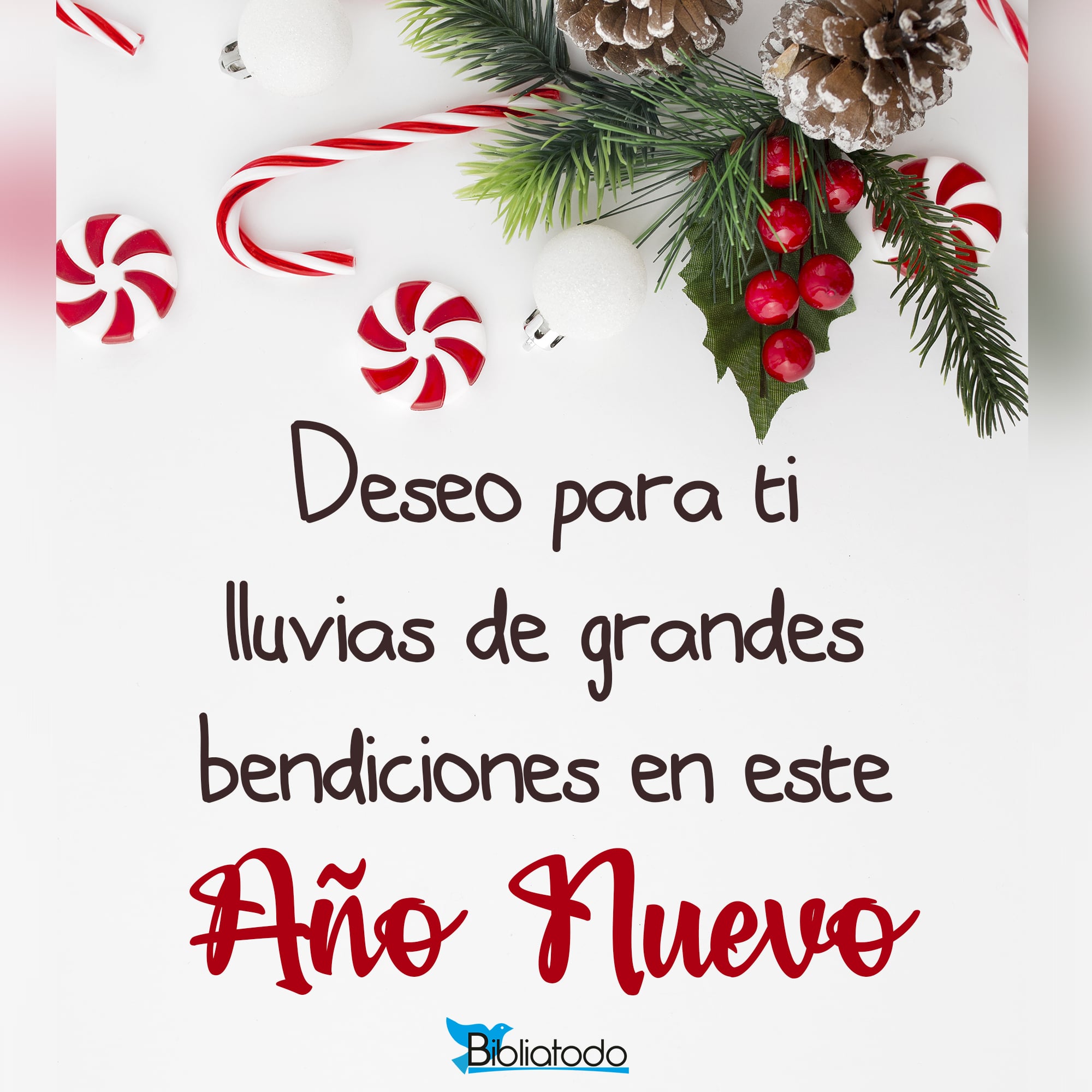 Deseo para ti lluvia de grandes bendiciones en este año nuevo ...