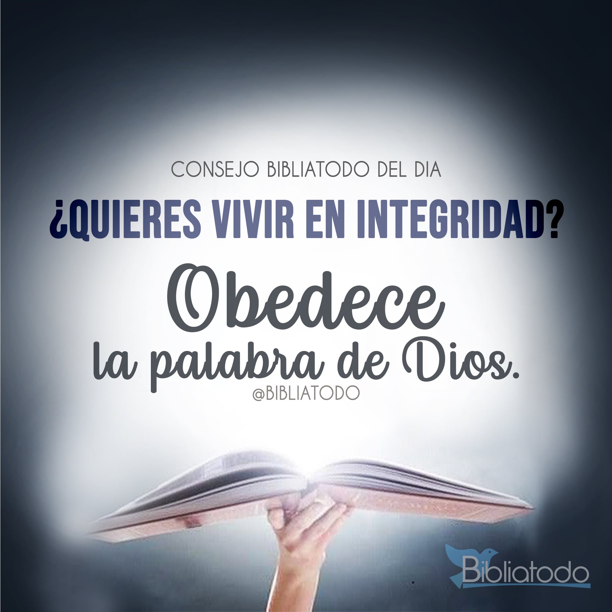 Que Significa Obedecer A Dios Obedece A Dios Y Deja Todas Las