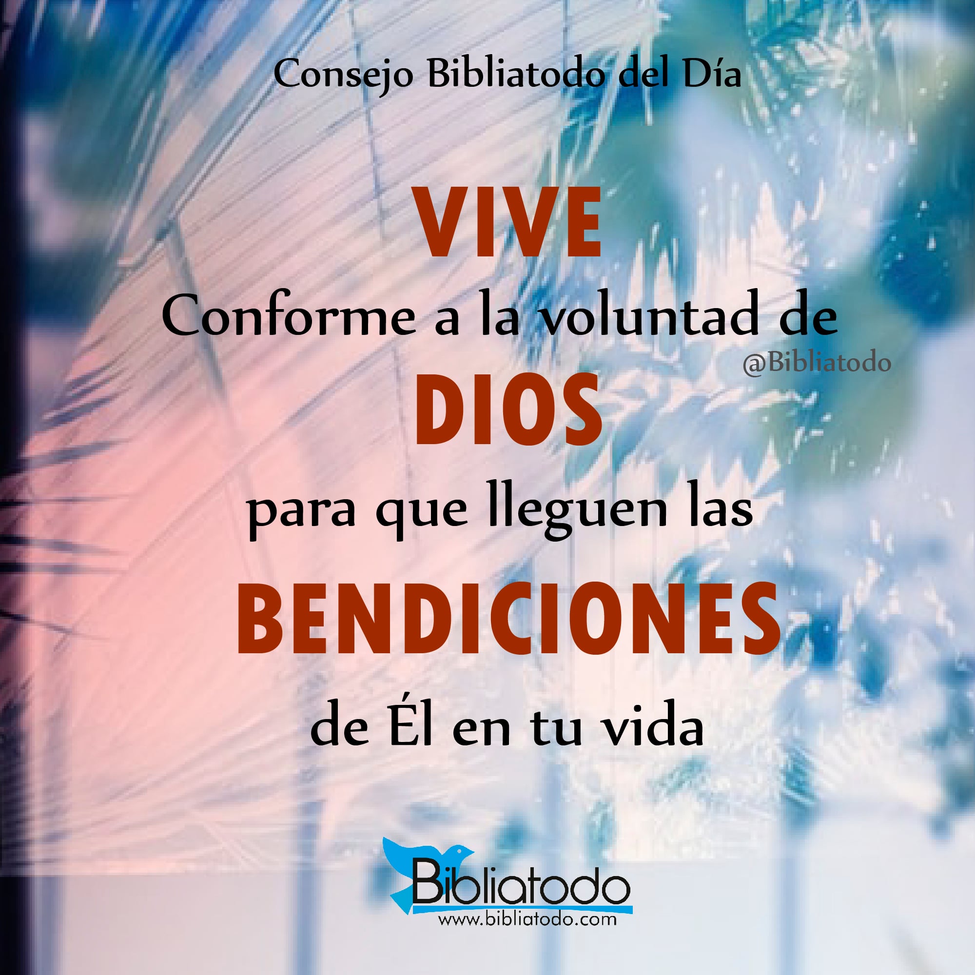 Vive conforme a la voluntad de Dios para que lleguen las bendiciones de Él en tu vida - IMAGENES ...