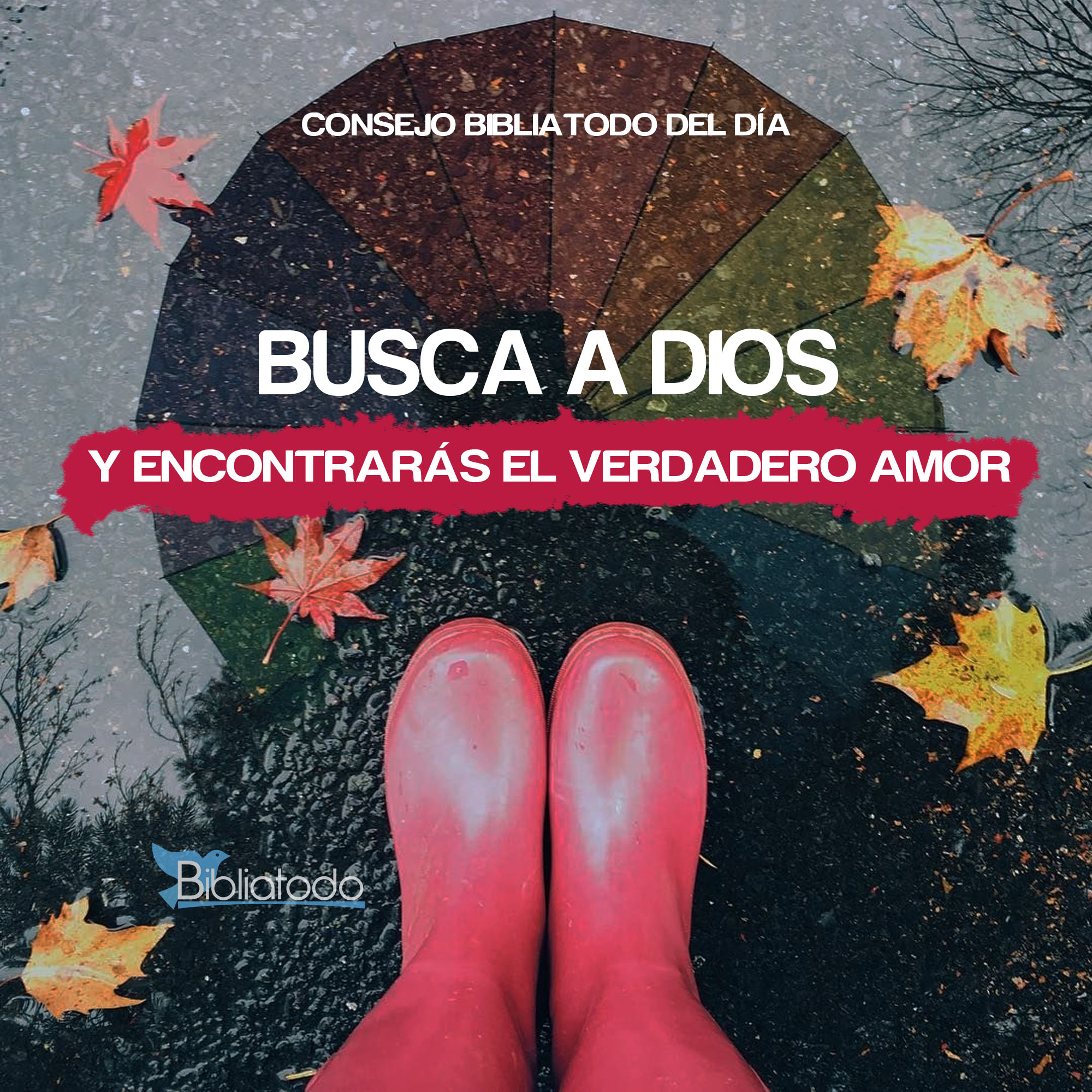 Busca a Dios y encontrarás el verdadero amor - IMAGENES CRISTIANAS
