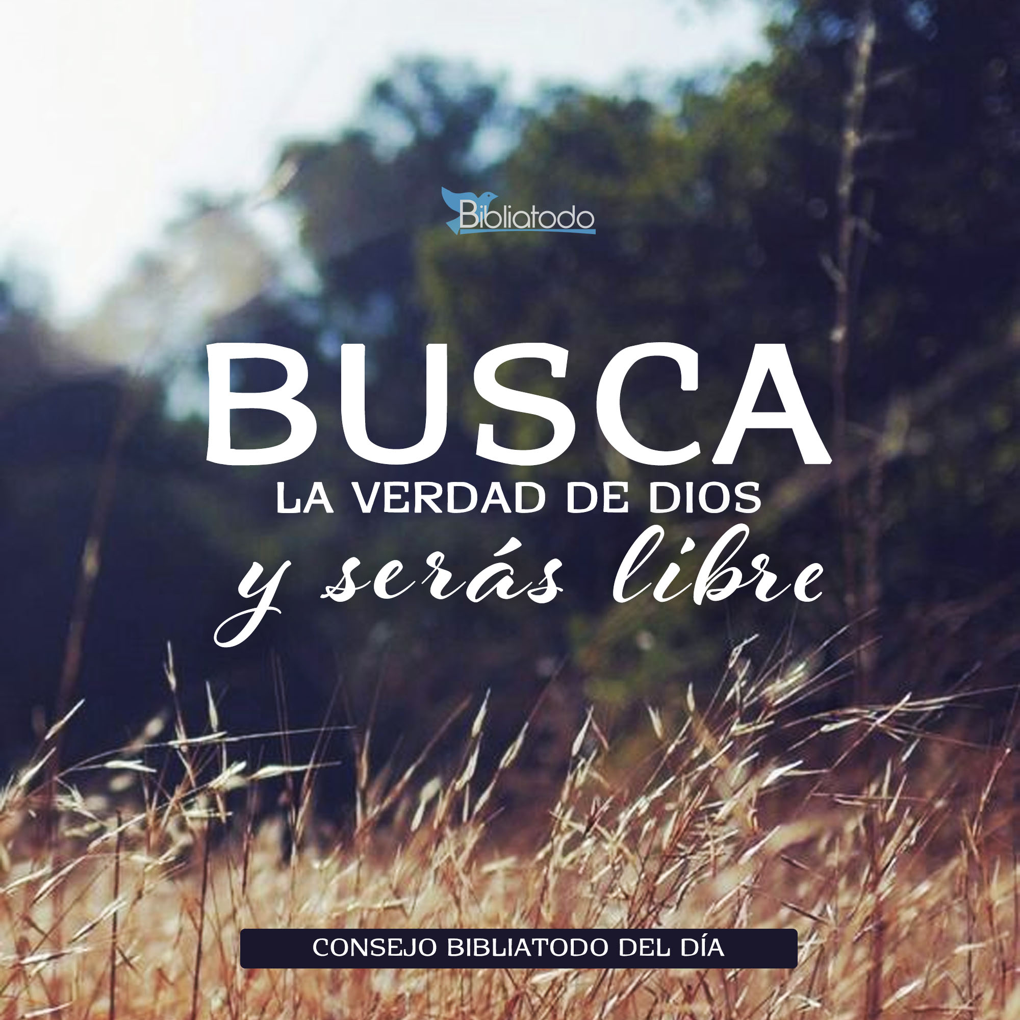 Busca la verdad de Dios y serás libre - IMAGENES CRISTIANAS