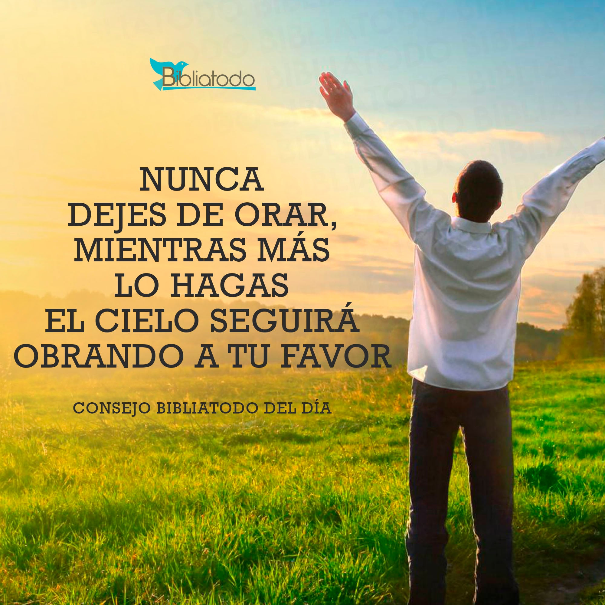 Nunca dejes de orar - IMAGENES CRISTIANAS