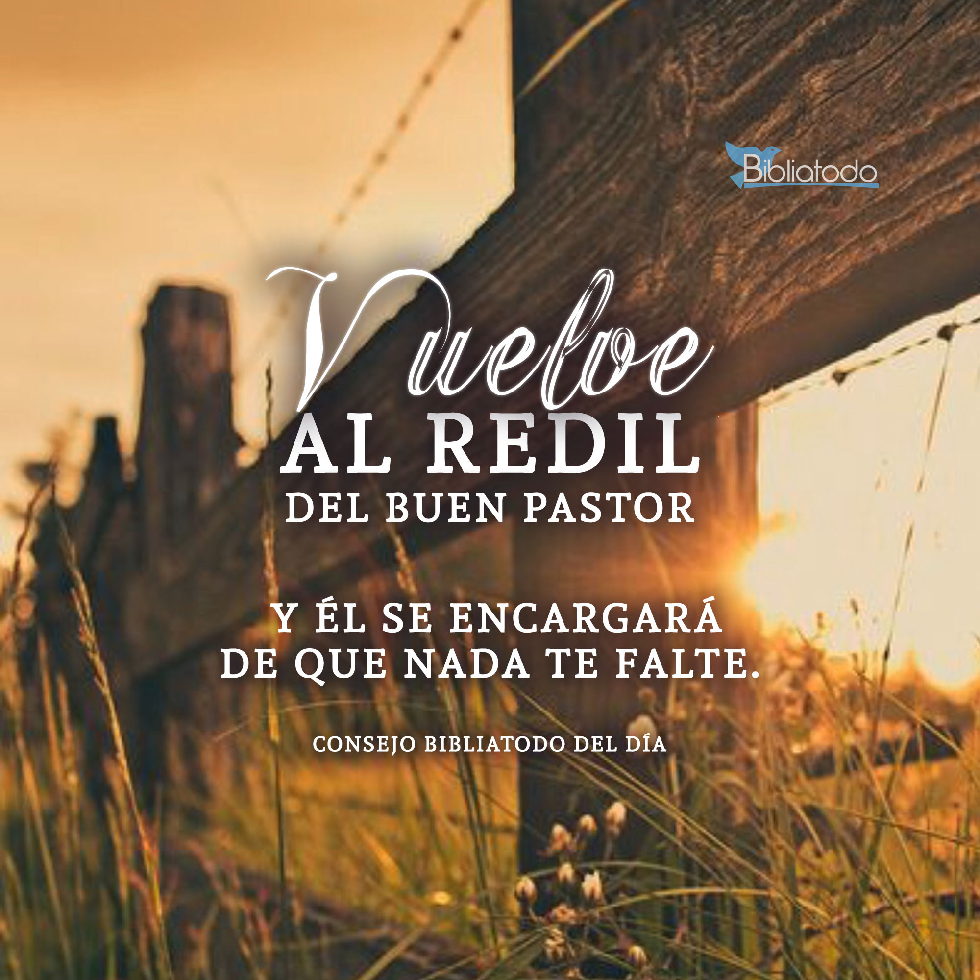 Vuelve al redil del buen pastor - IMAGENES CRISTIANAS