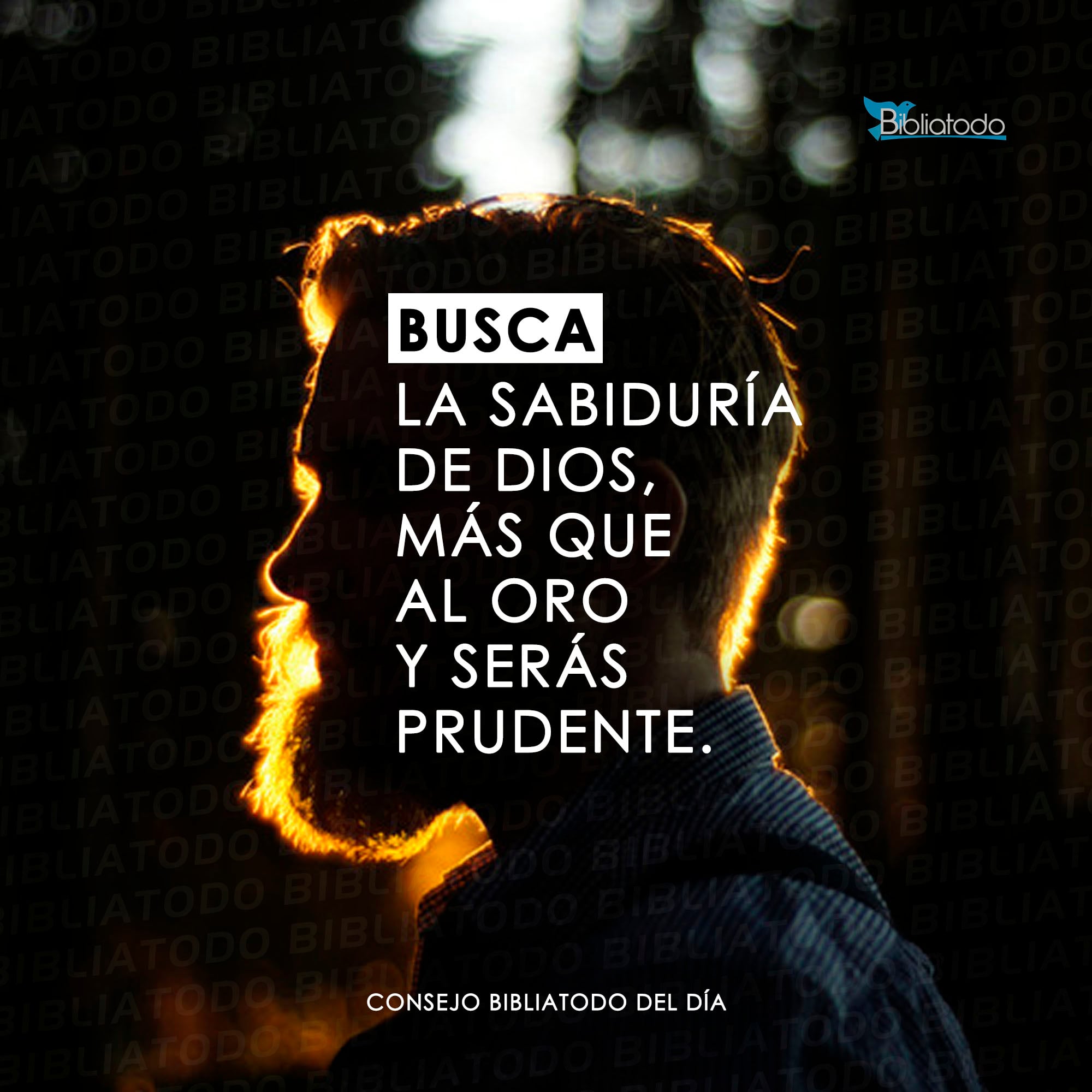 Busca la sabiduría de Dios - IMAGENES CRISTIANAS