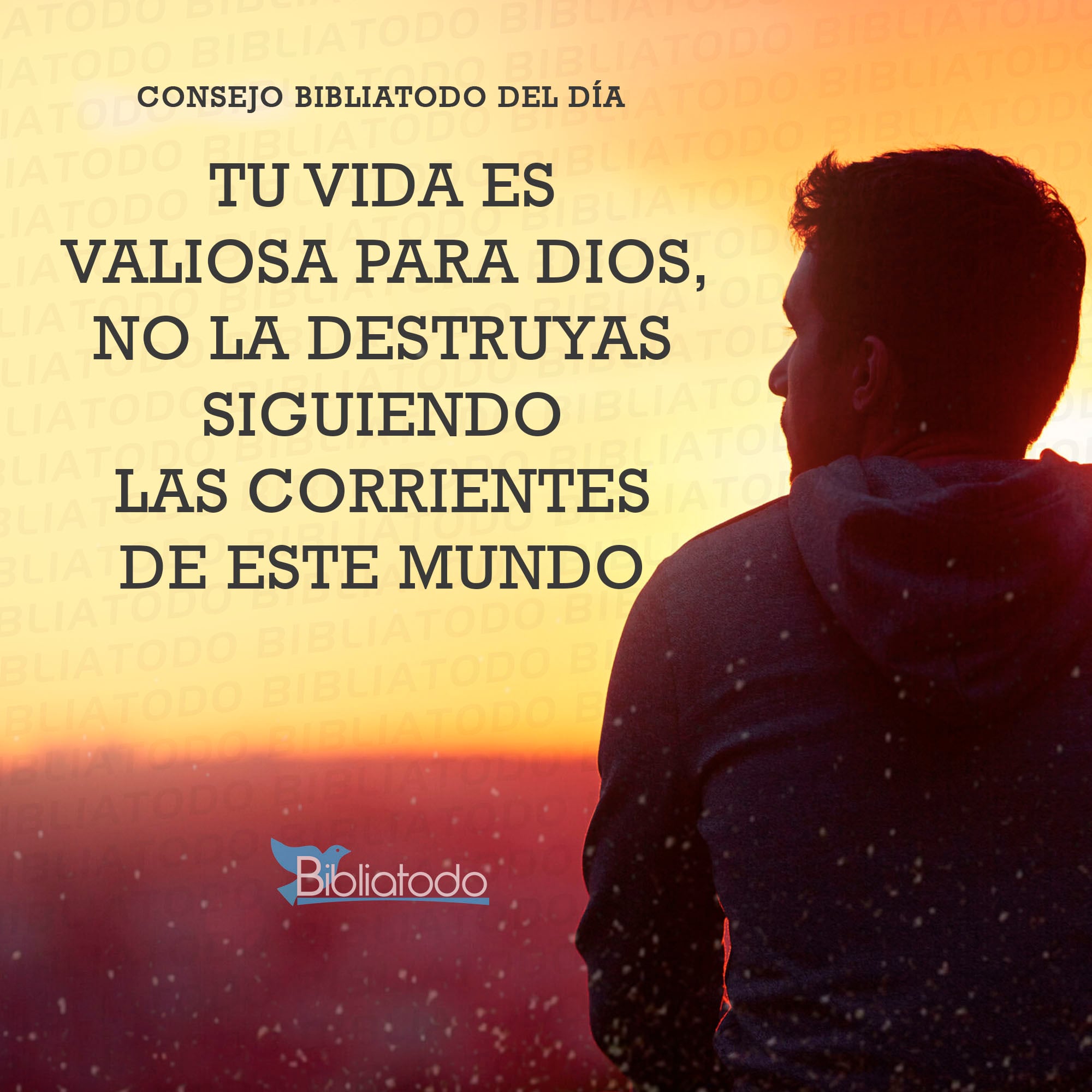 Eres Especial Para Dios 49 Bonitas Frases De Dios Con Mensajes De