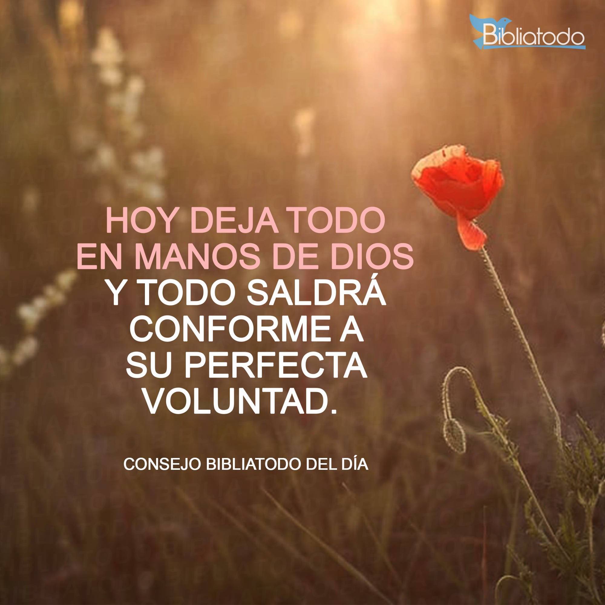 Imágenes Bíblicas De Manos En Oración 1.000+ Rezar Manos Bibles