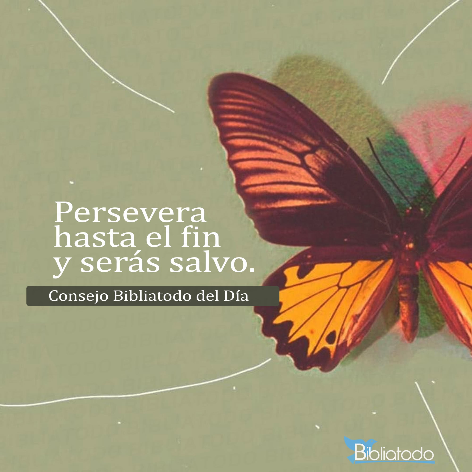 Persevera hasta el fin y serás salvo - IMAGENES CRISTIANAS