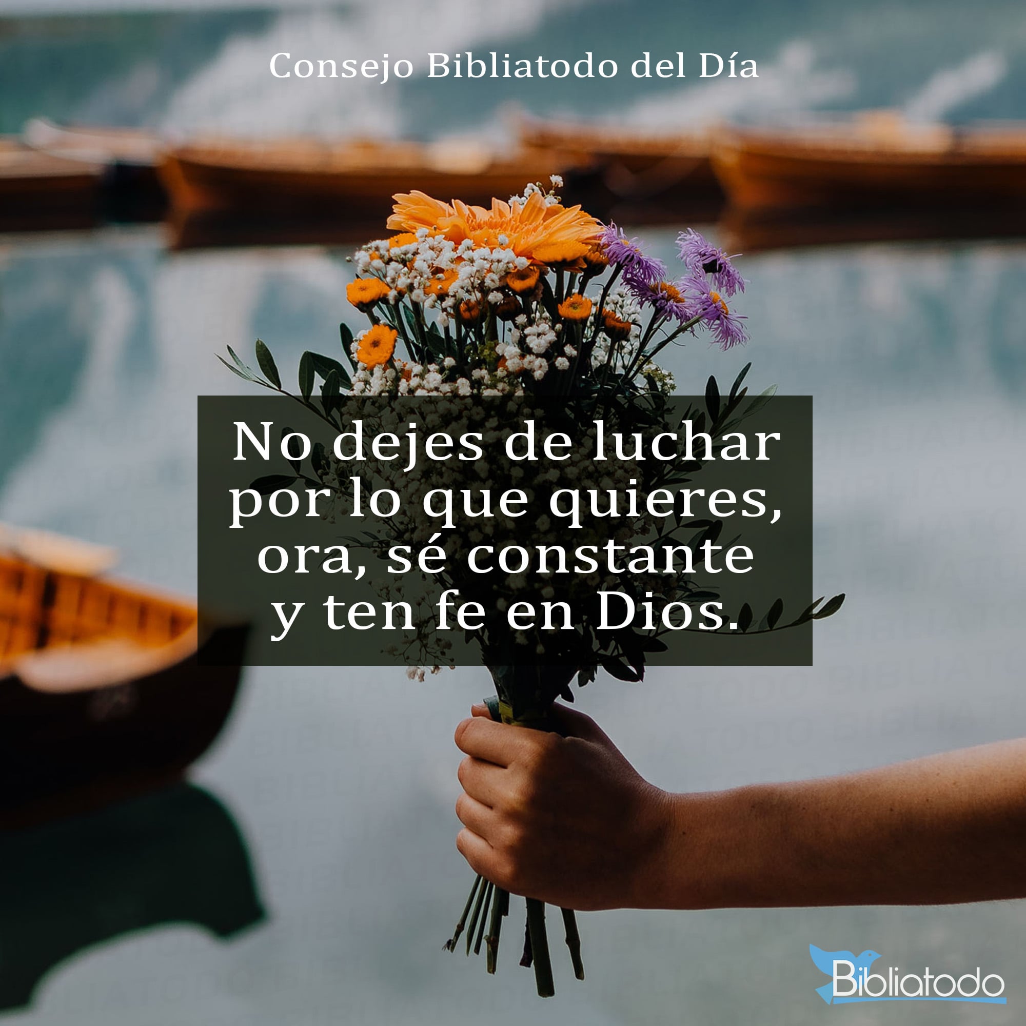 Dios Nos Da Luchas Citas Dios Te Dice Hoy.... No Dejes De Luchar,