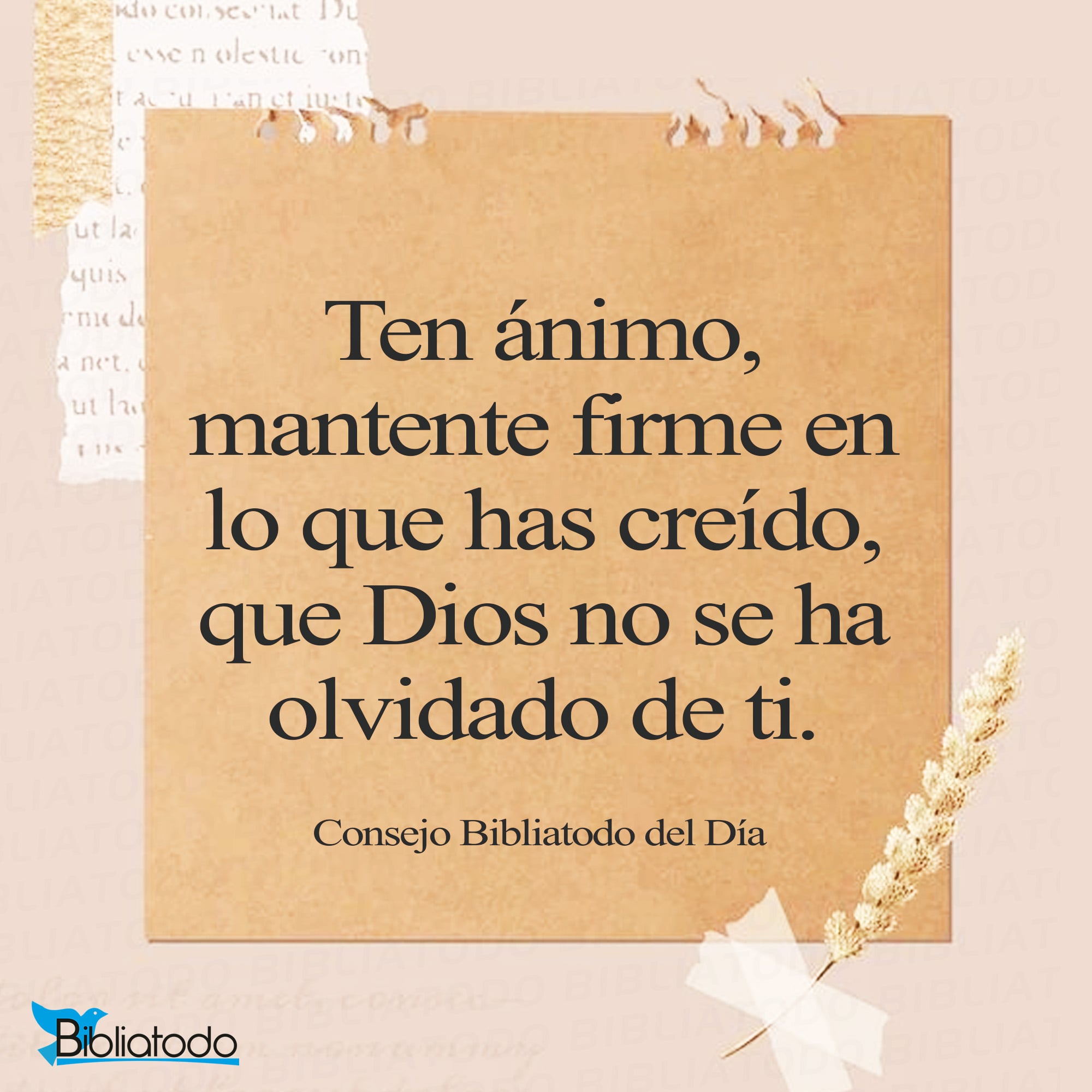 Ten ánimo mantente firme en lo que has creído - IMAGENES CRISTIANAS