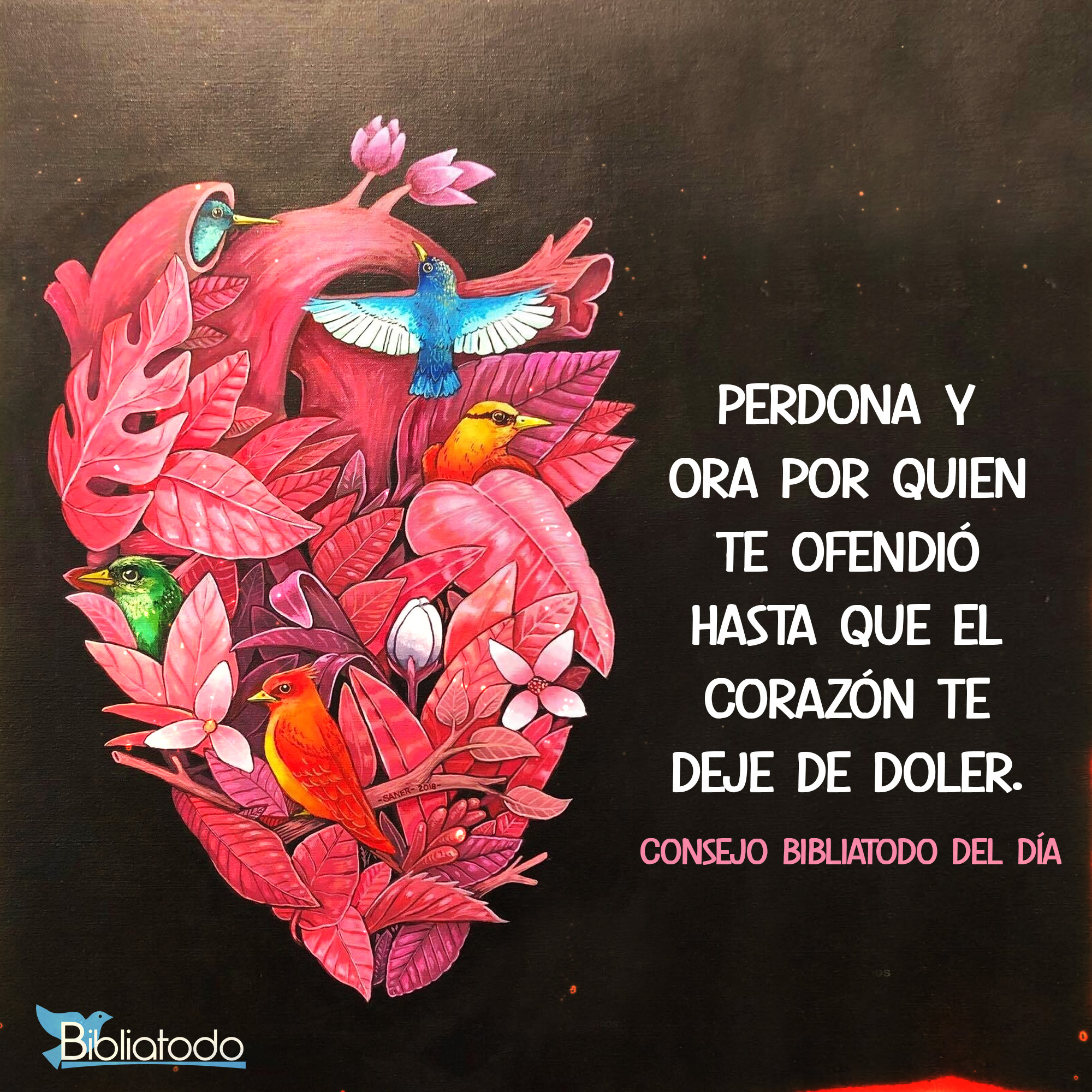 Perdona y ora por quien te ofendió - IMAGENES CRISTIANAS