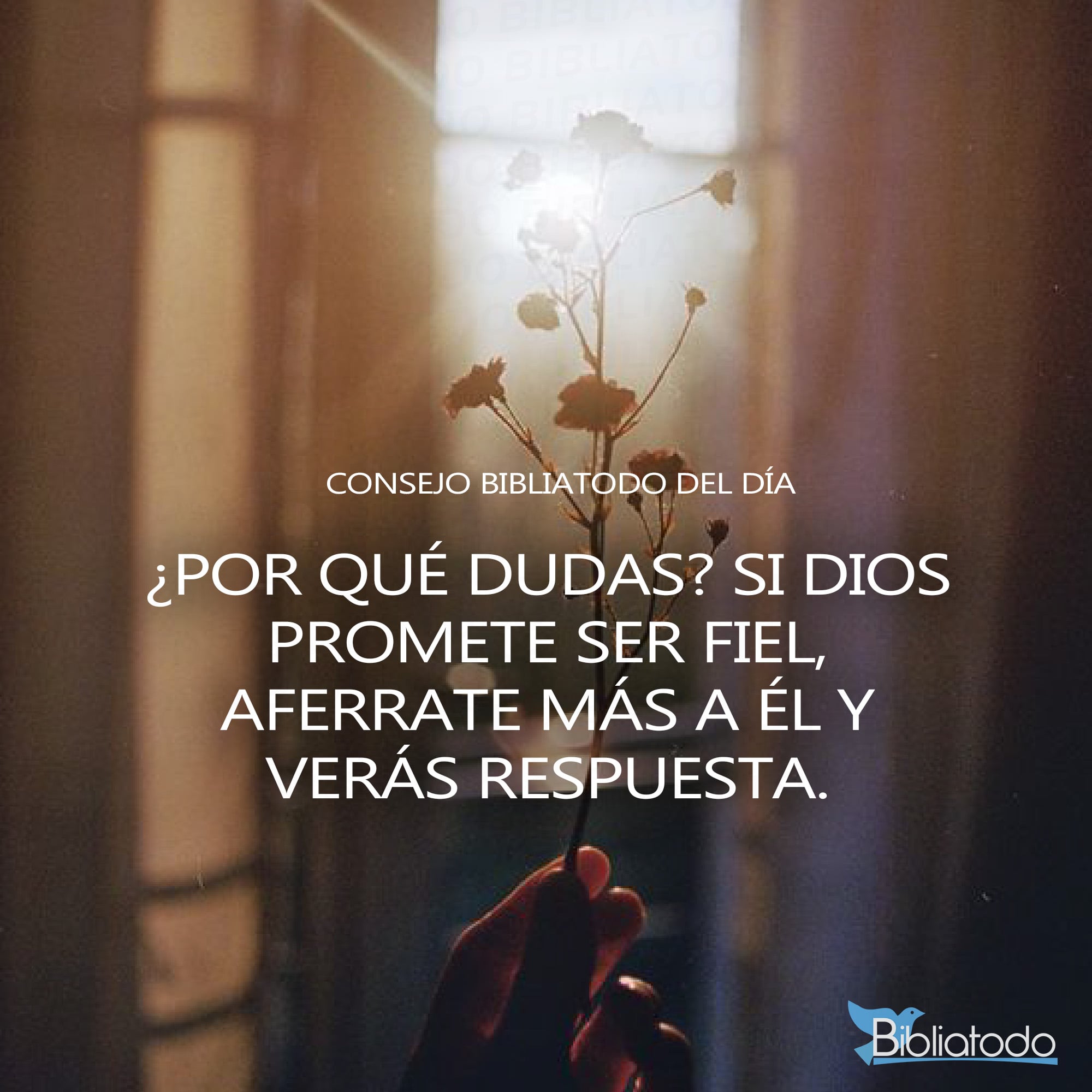 Si Dios promete ser fiel - IMAGENES CRISTIANAS