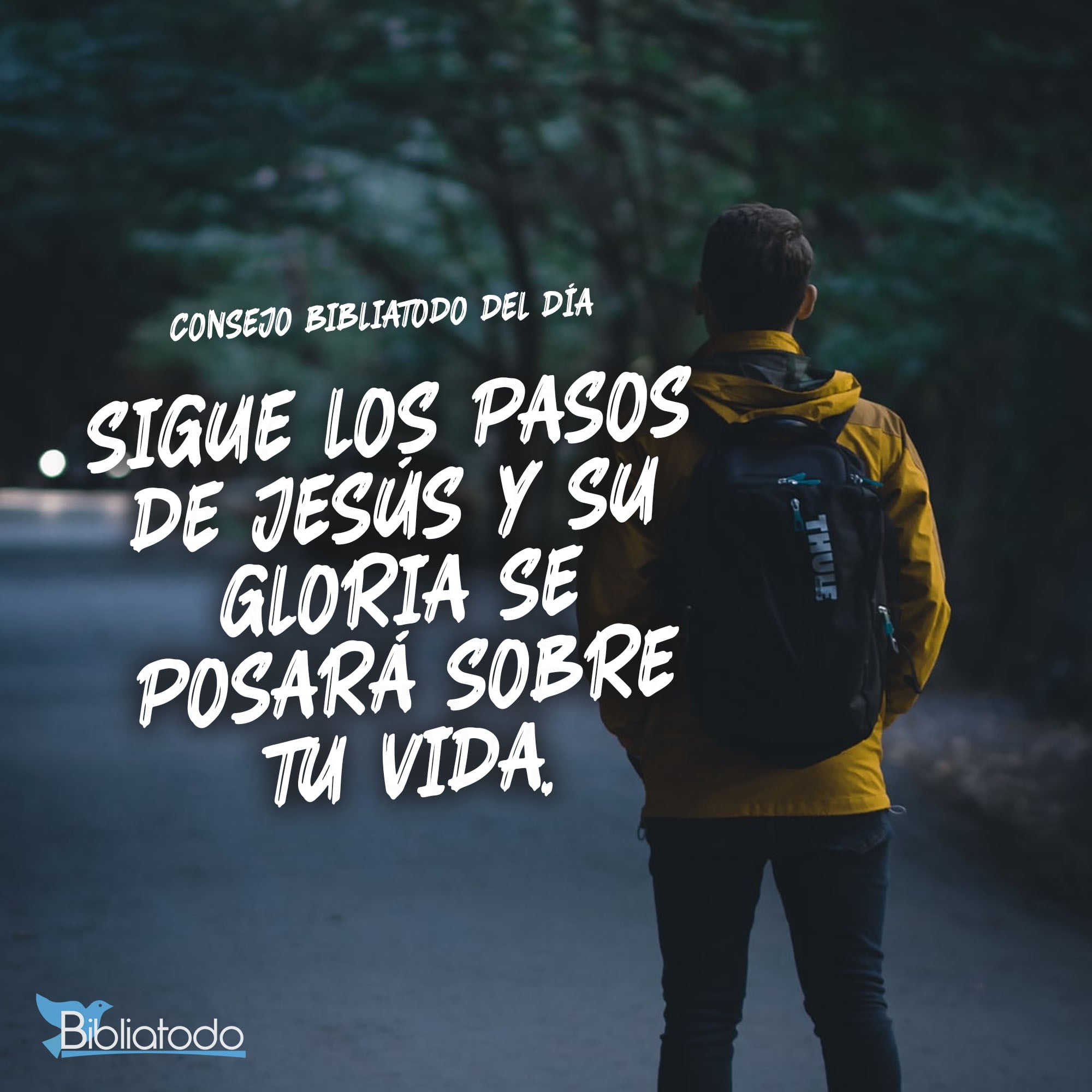 Sigue los pasos de Jesús - IMAGENES CRISTIANAS