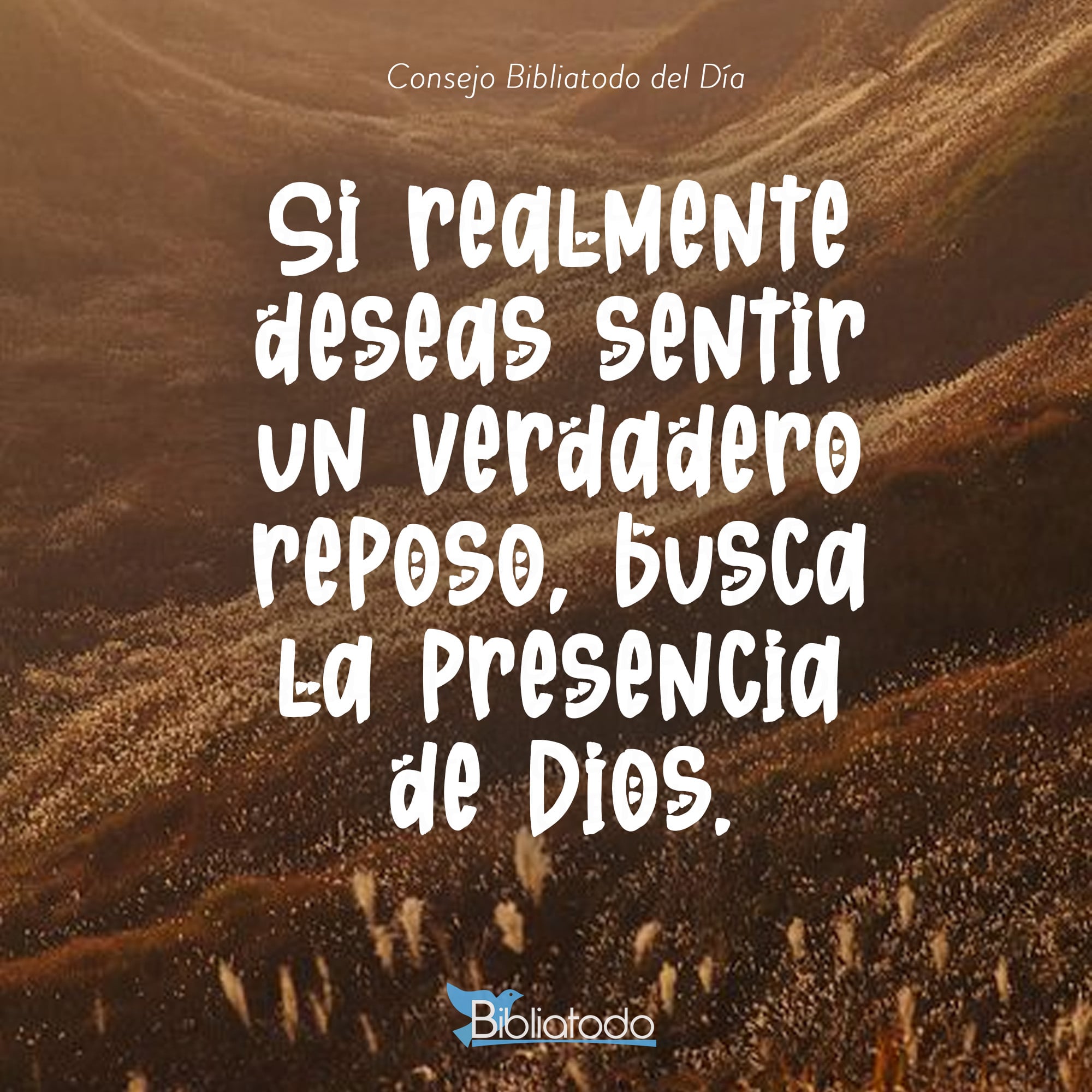 Busca la presencia de Dios - IMAGENES CRISTIANAS