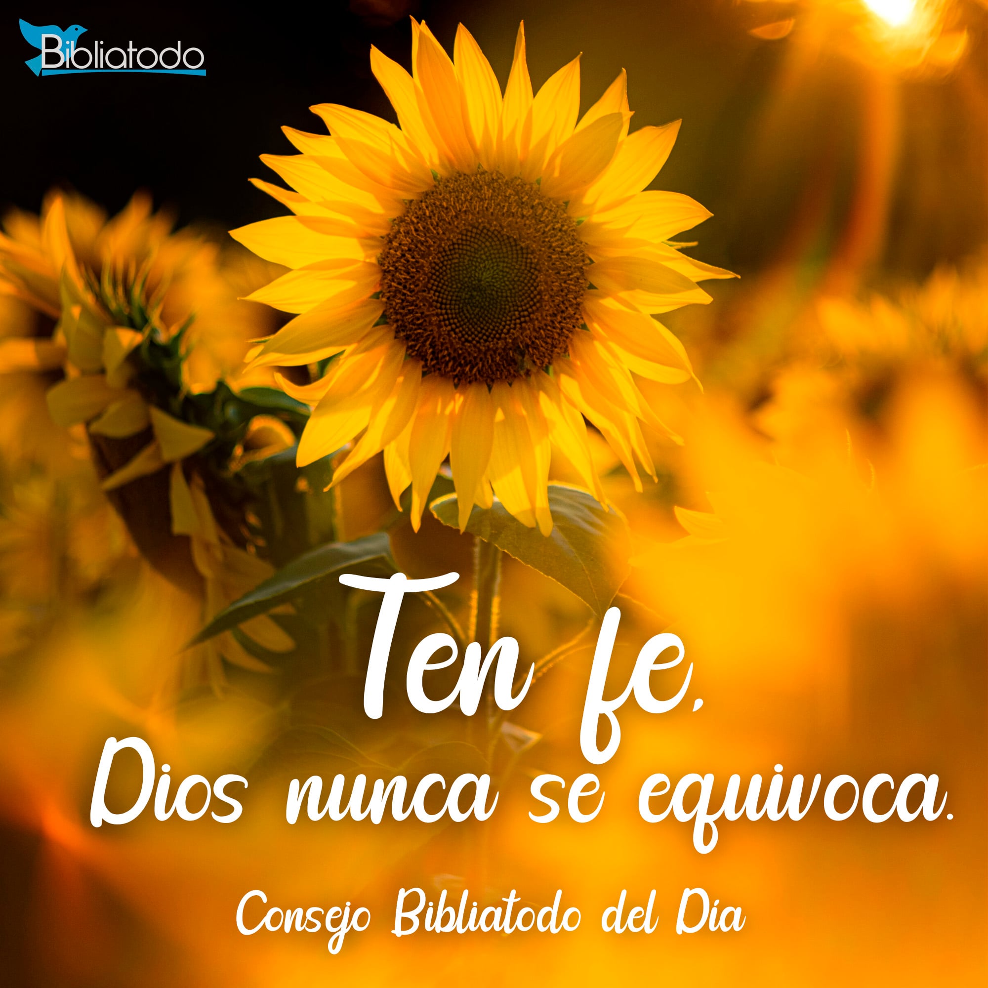 Ten fe Dios nunca se equivoca - IMAGENES CRISTIANAS