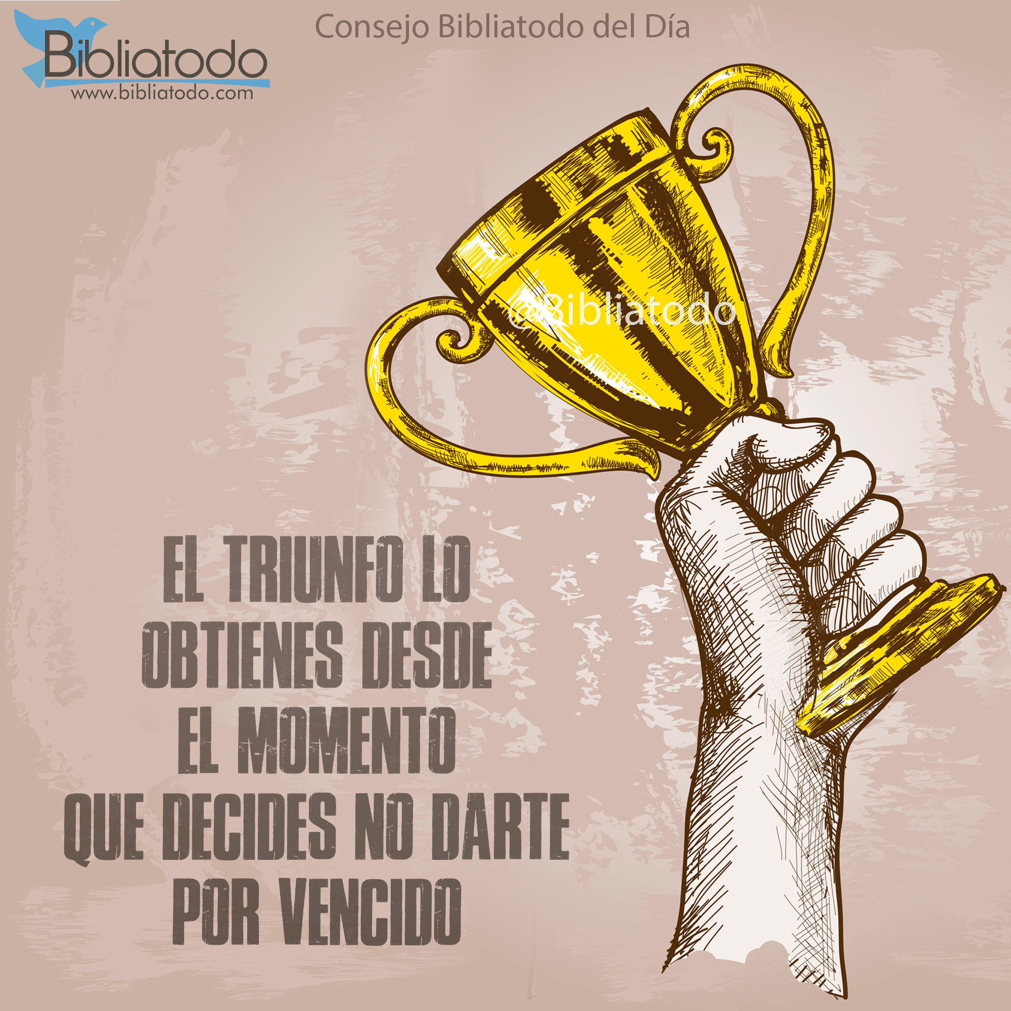 El triunfo lo obtienes desde el momento que decides no darte por ...