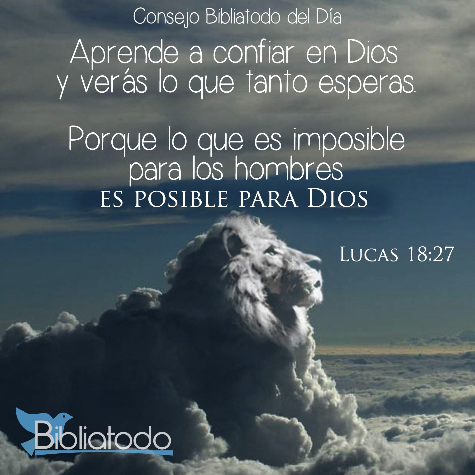 Aprende a confiar en Dios y verás lo que tanto esperas - IMAGENES ...