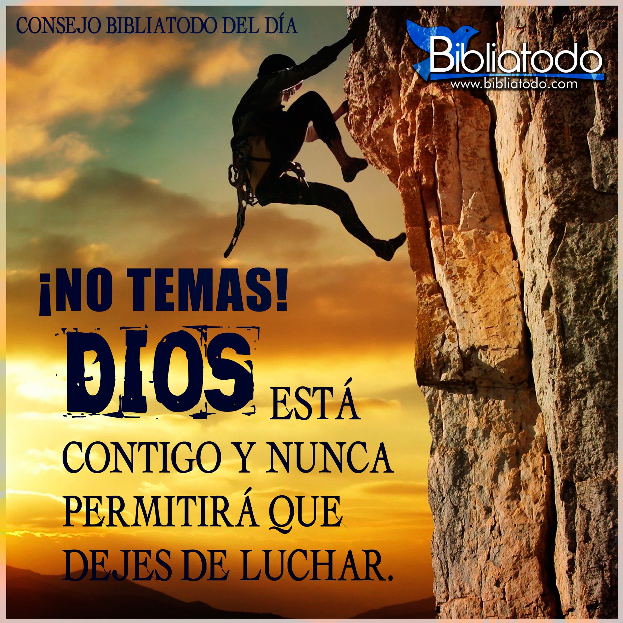 Dios está contigo y nunca permitirá que dejes de luchar - IMAGENES ...