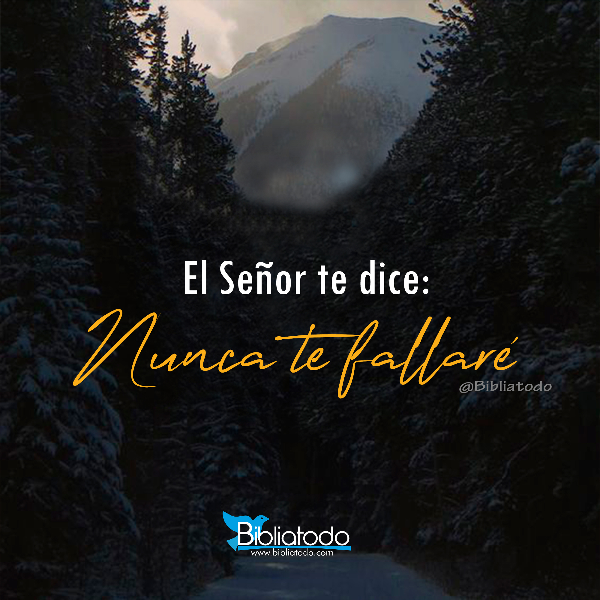 El Señor te dice nunca te fallaré - IMAGENES CRISTIANAS
