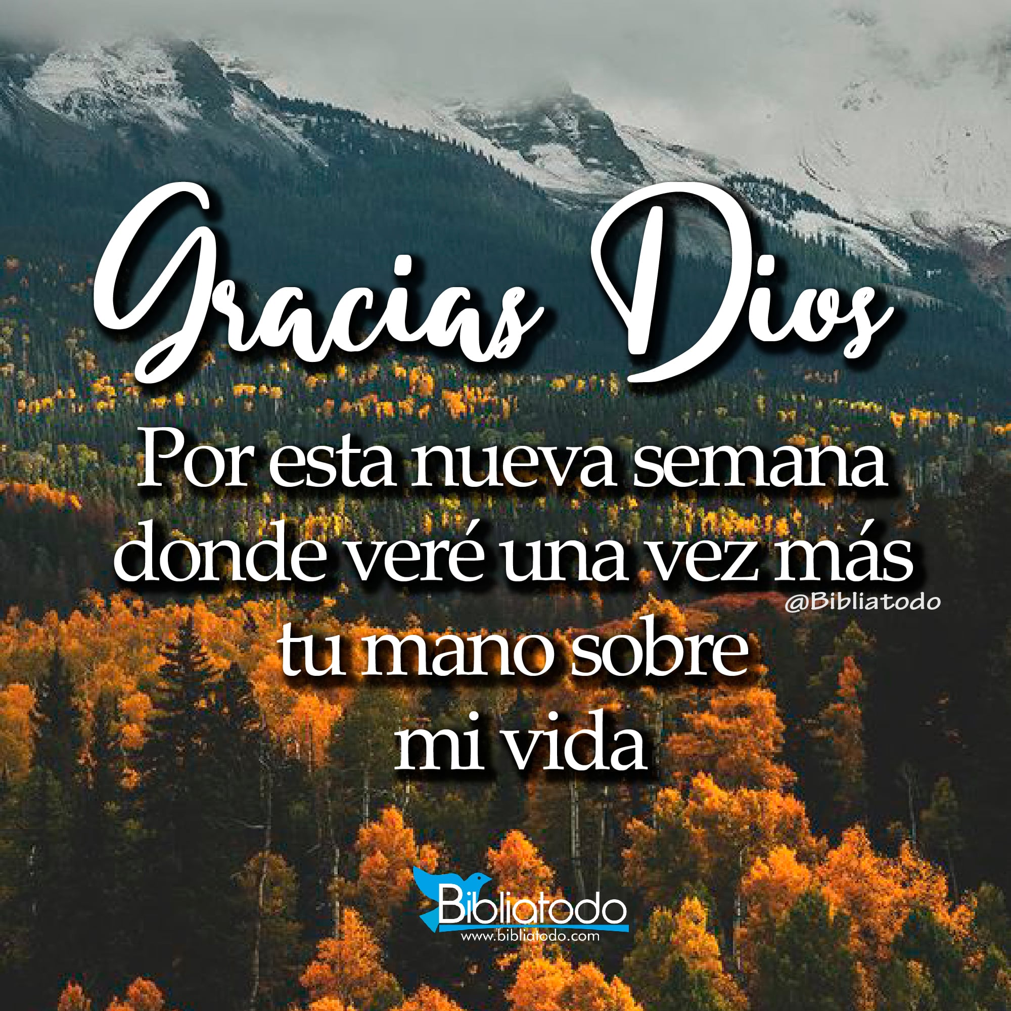 Frases Gracias Dios Por Esta Nueva Semana at Skye Kingsley blog