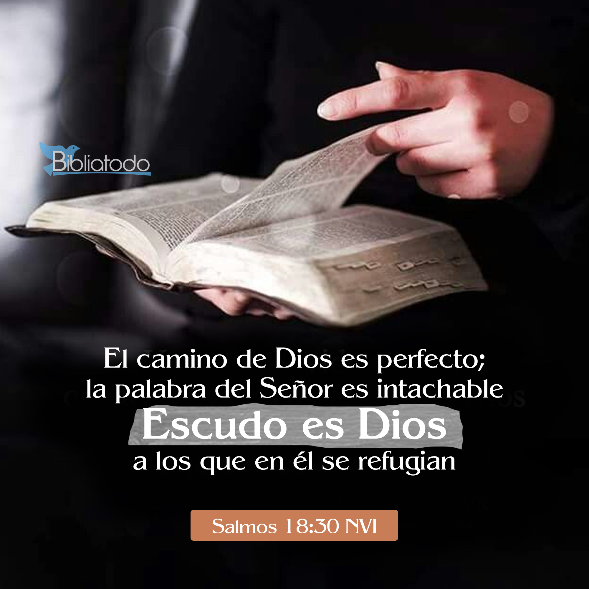 El camino de Dios es perfecto - IMAGENES CRISTIANAS