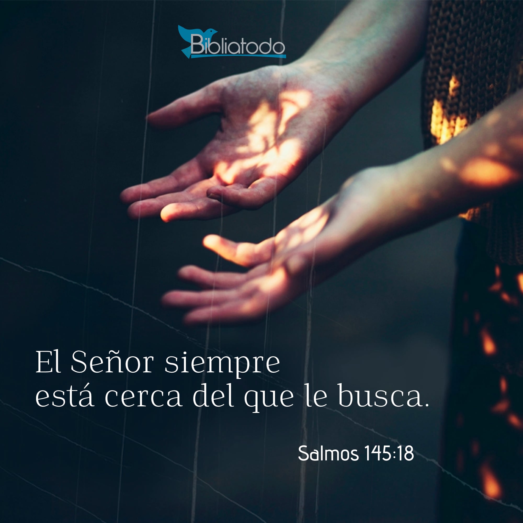 El Señor siempre está cerca del que le busca - IMAGENES CRISTIANAS
