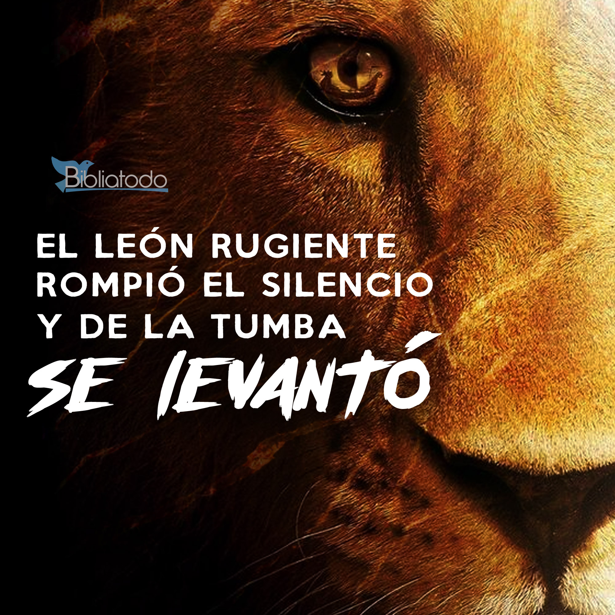 El León rugiente rompió el silencio y de la tumba se levantó - IMAGENES ...