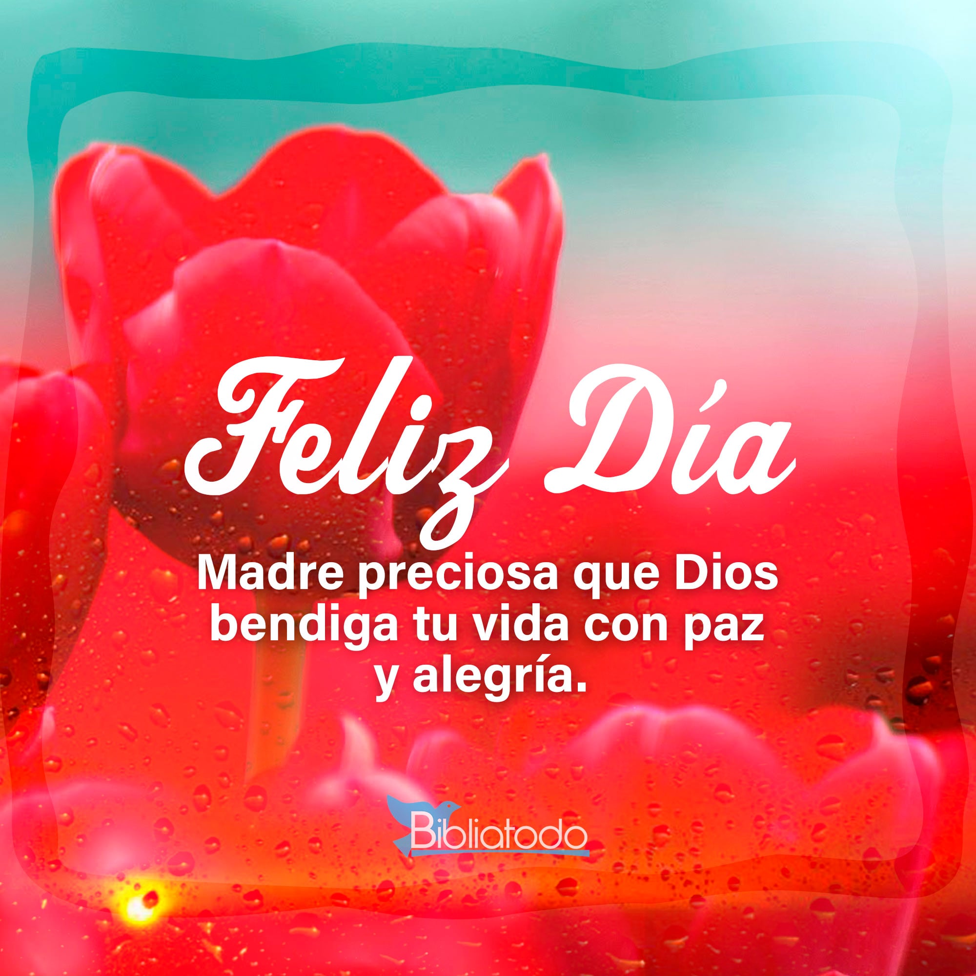 Feliz día madre preciosa que Dios bendiga tu vida con paz y alegría ...
