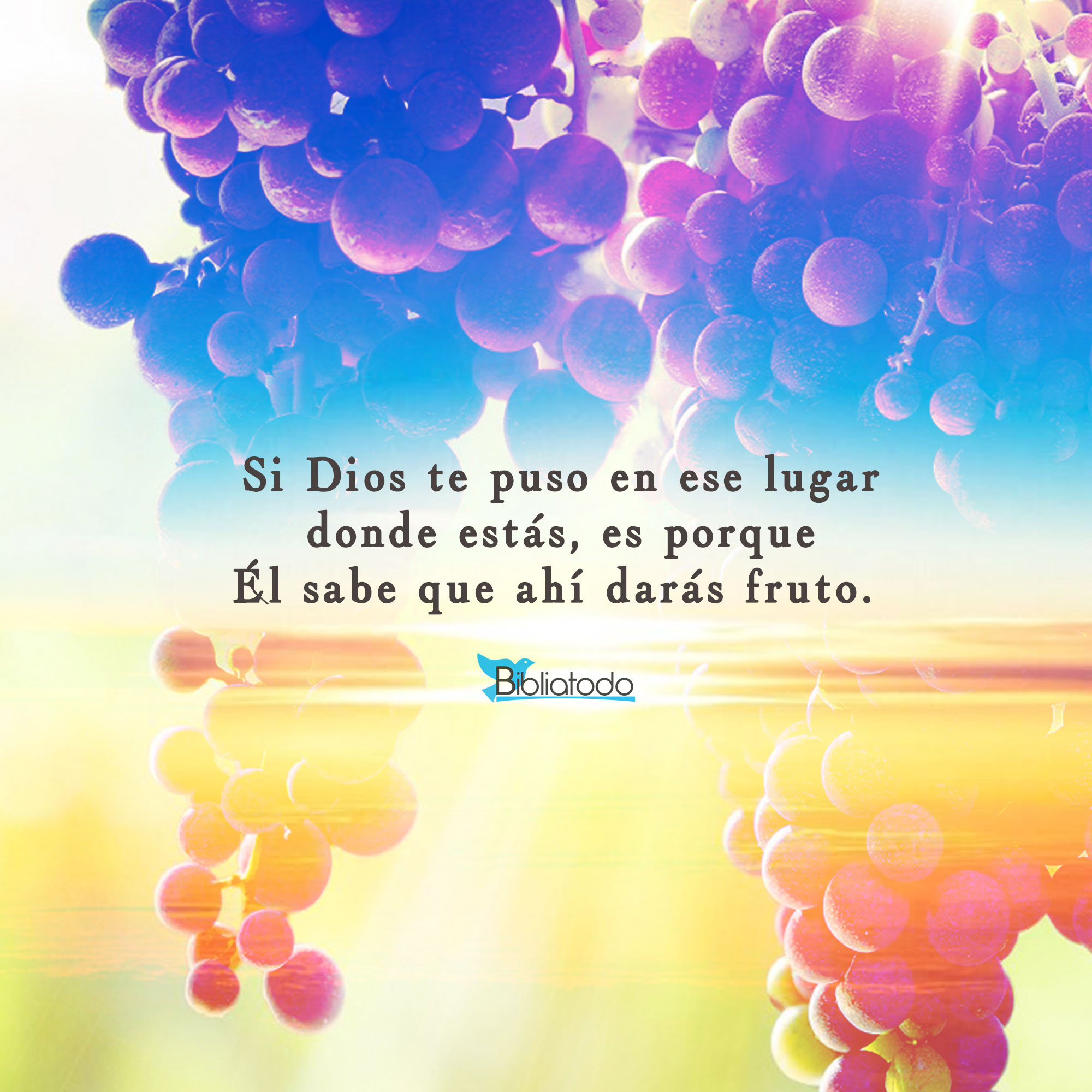 Si Dios te puso en ese lugar donde estás - IMAGENES CRISTIANAS