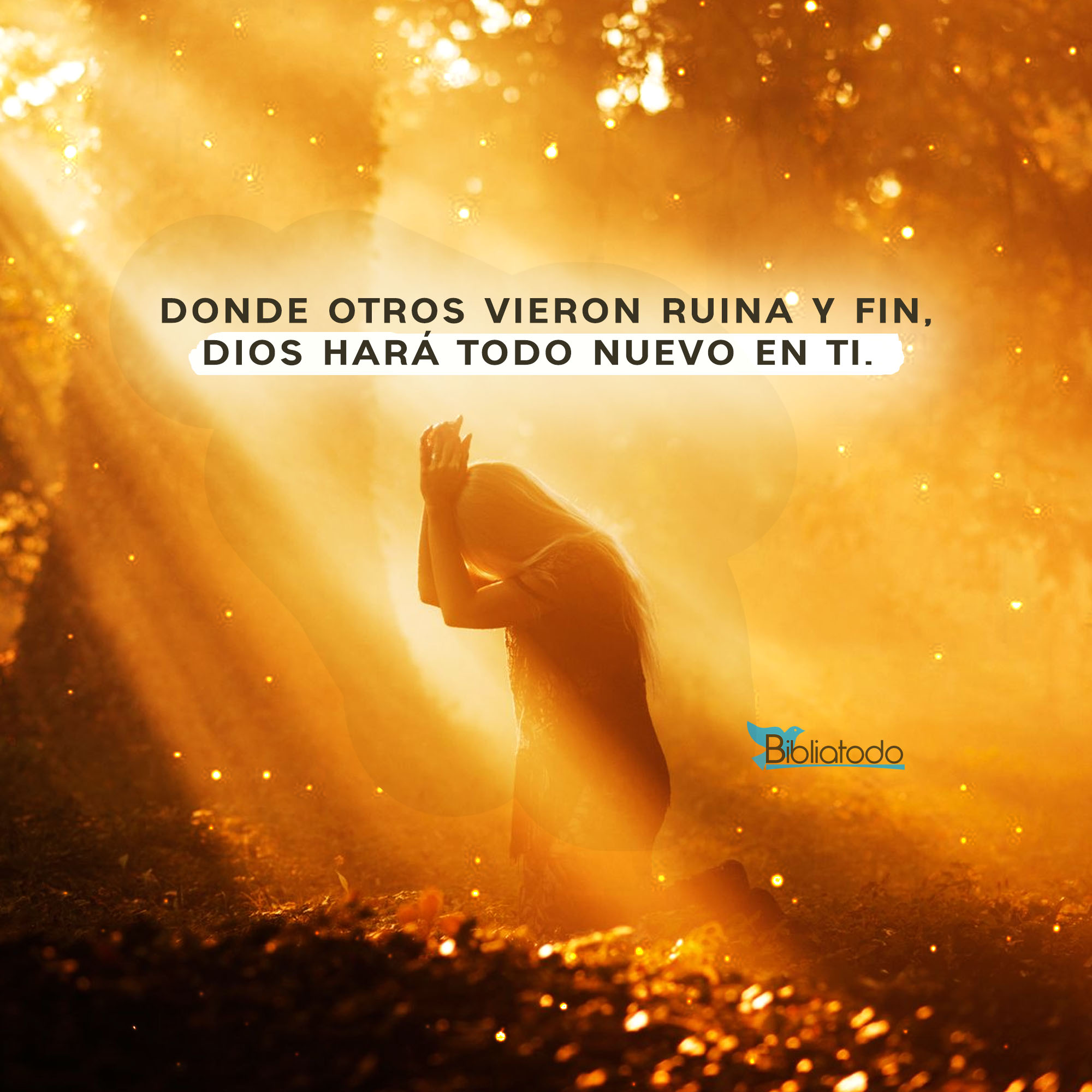 Donde otros vieron ruina y fin - IMAGENES CRISTIANAS