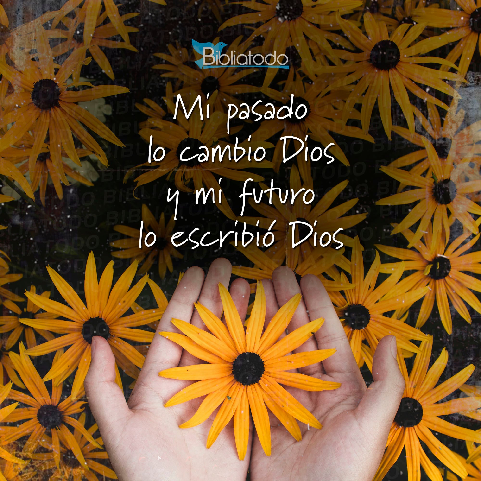 Mi pasado lo cambio Dios - IMAGENES CRISTIANAS