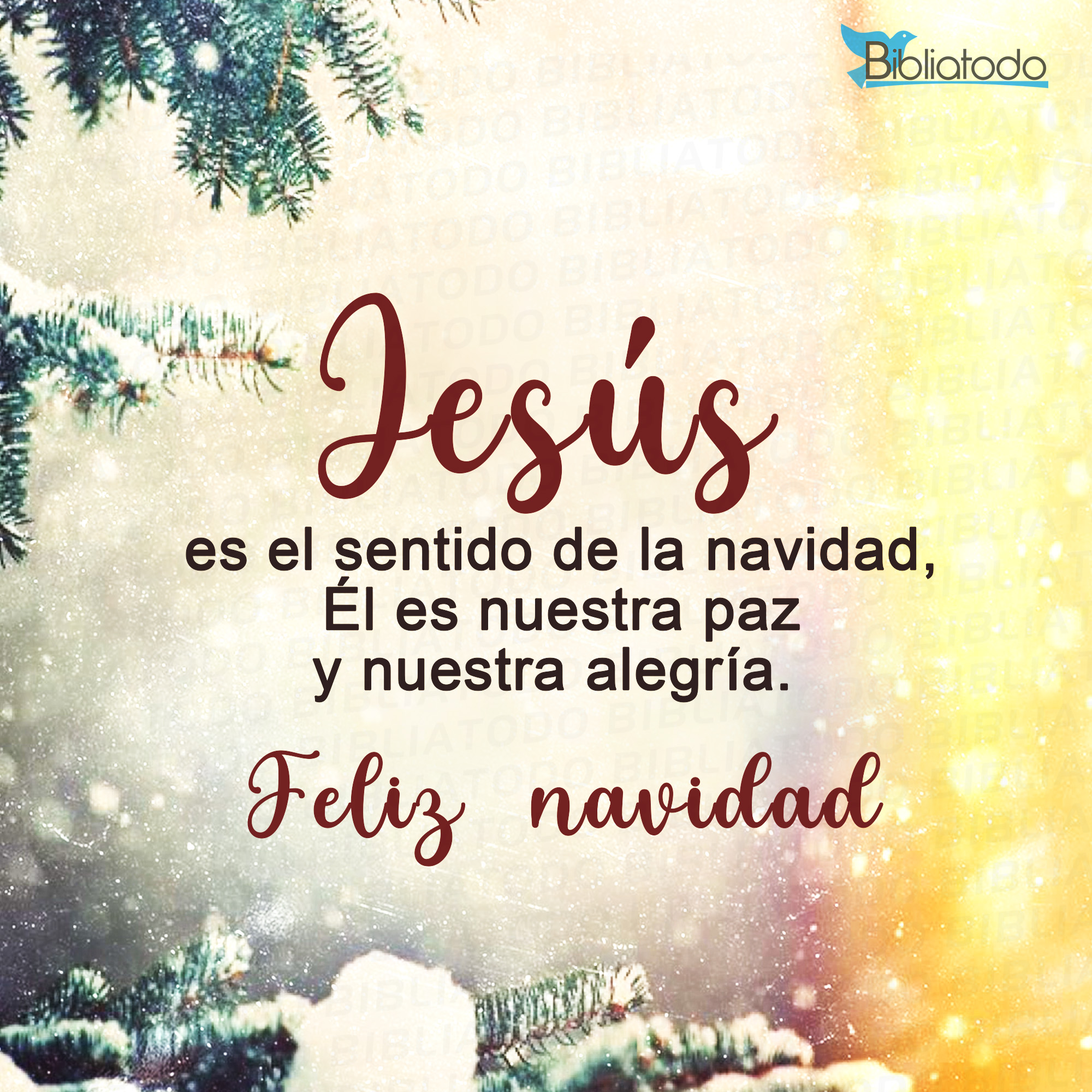 Jesús es el sentido de la navidad - IMAGENES CRISTIANAS