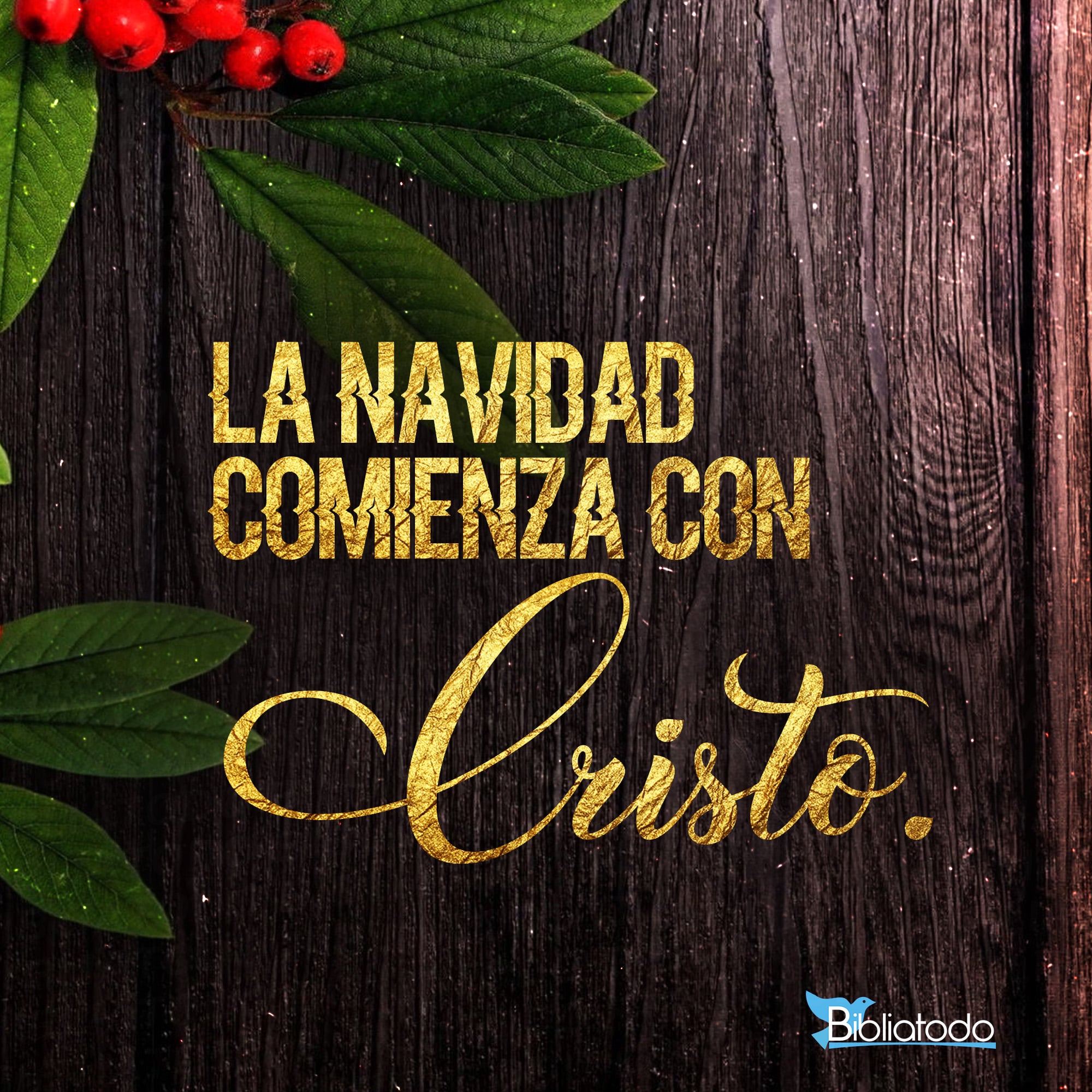 Navidad - IMÁGENES CRISTIANAS