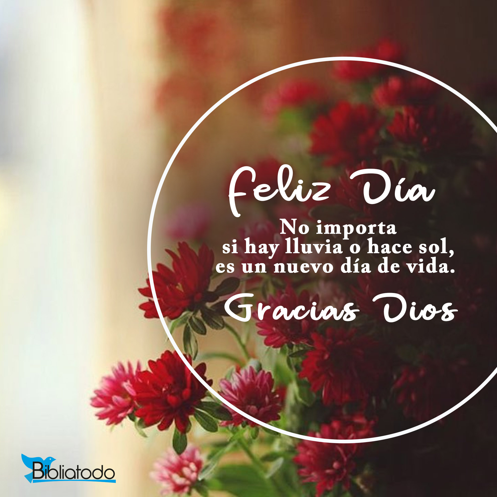 No importa si hay lluvia o hace sol - IMAGENES CRISTIANAS