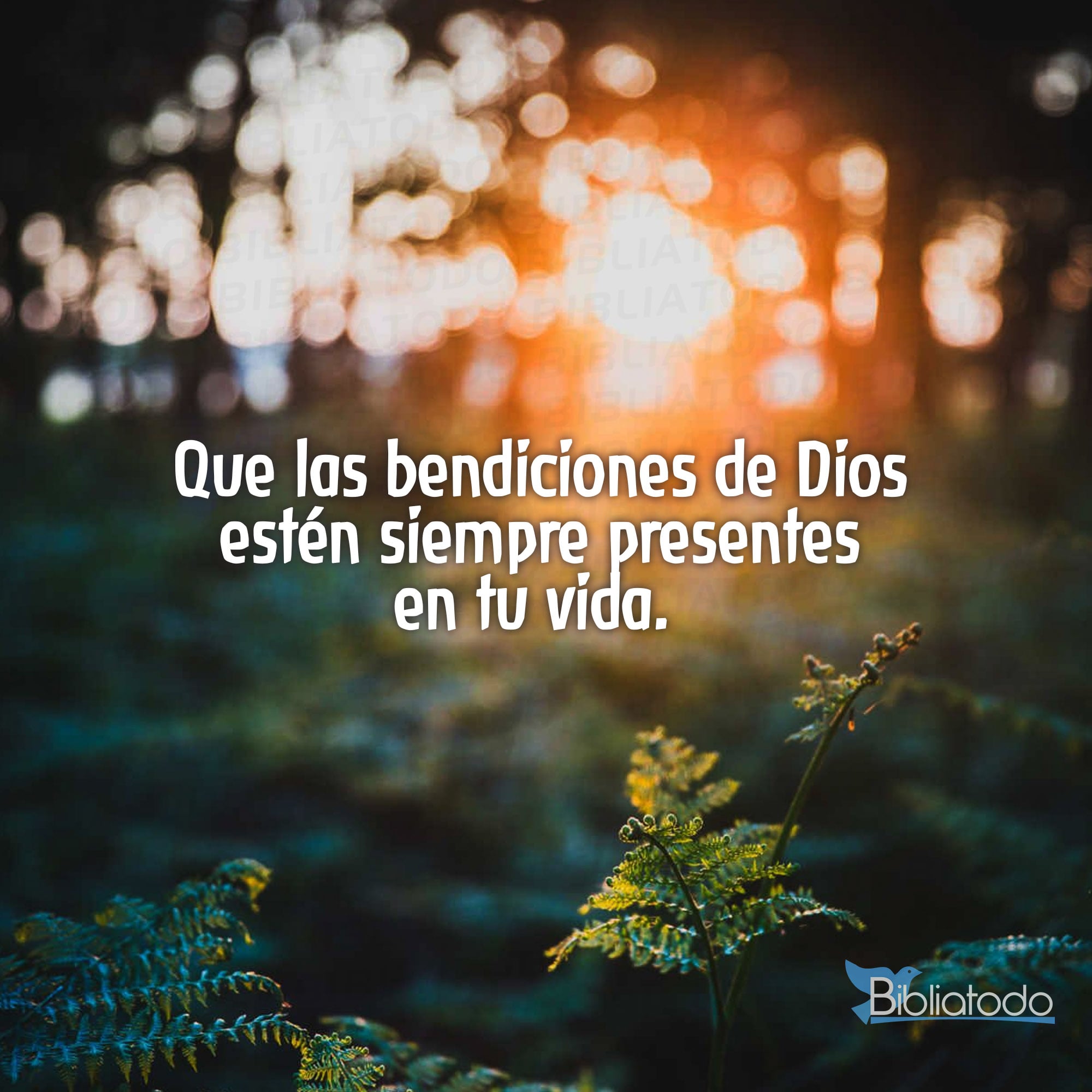 Que las bendiciones de Dios estén siempre presentes en tu vida ...