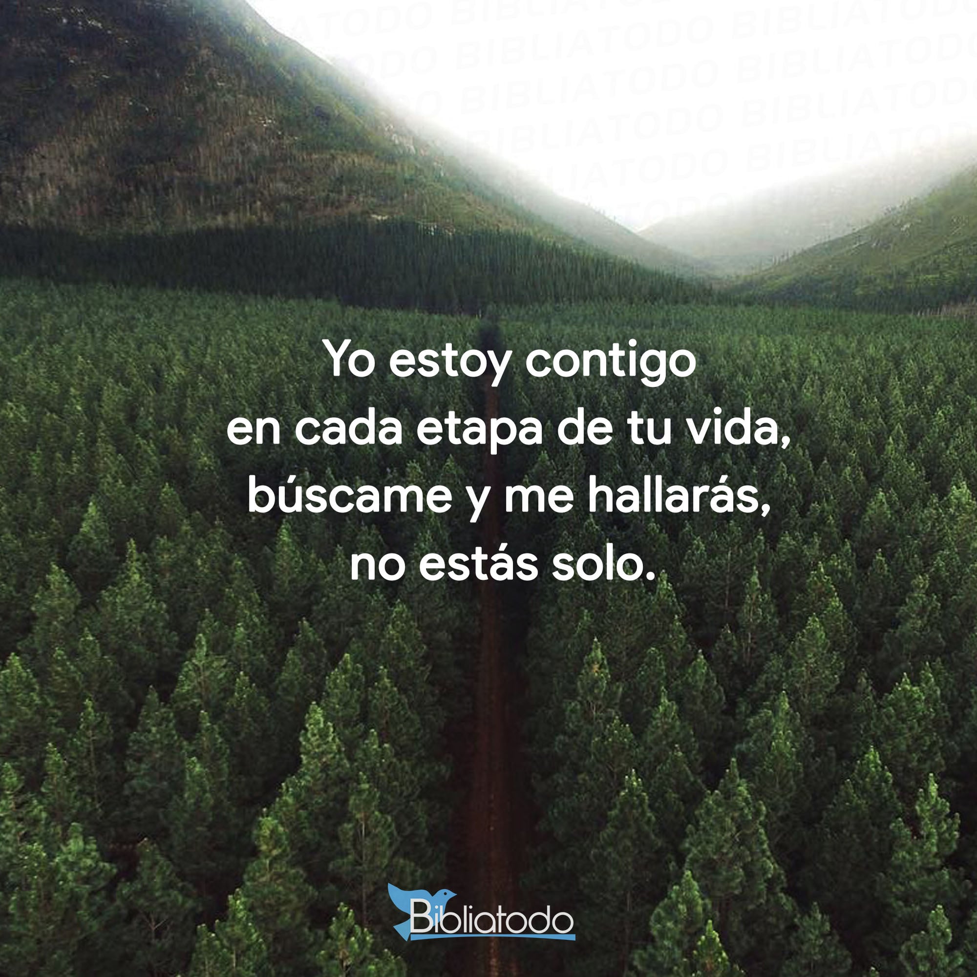 Yo estoy contigo en cada etapa de tu vida - IMAGENES CRISTIANAS