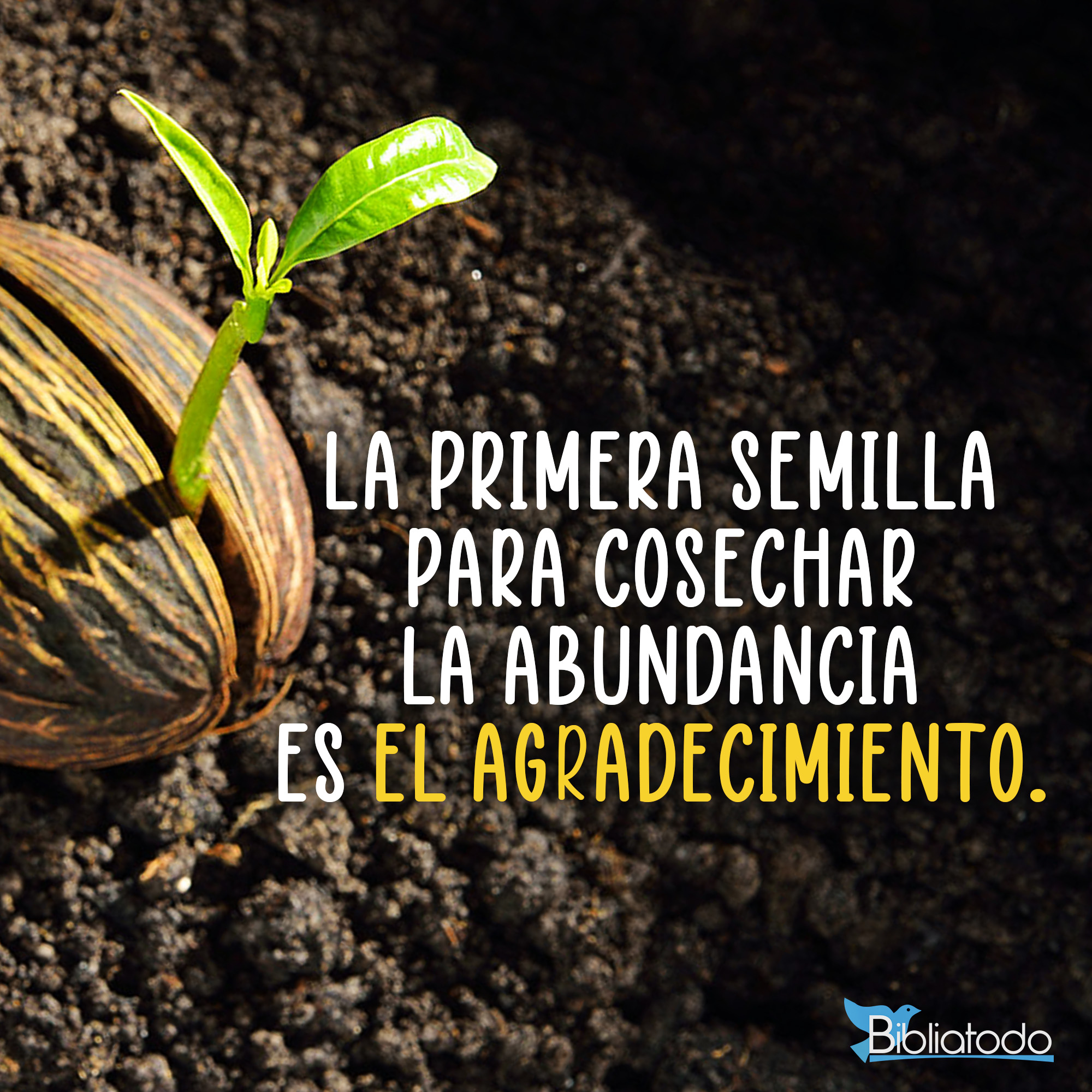 La primera semilla para cosechar la abundancia - IMAGENES CRISTIANAS